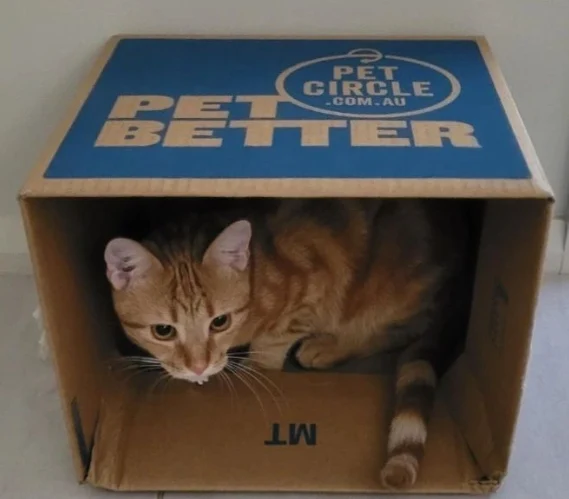 Boxes are the BEST! | Scrolller