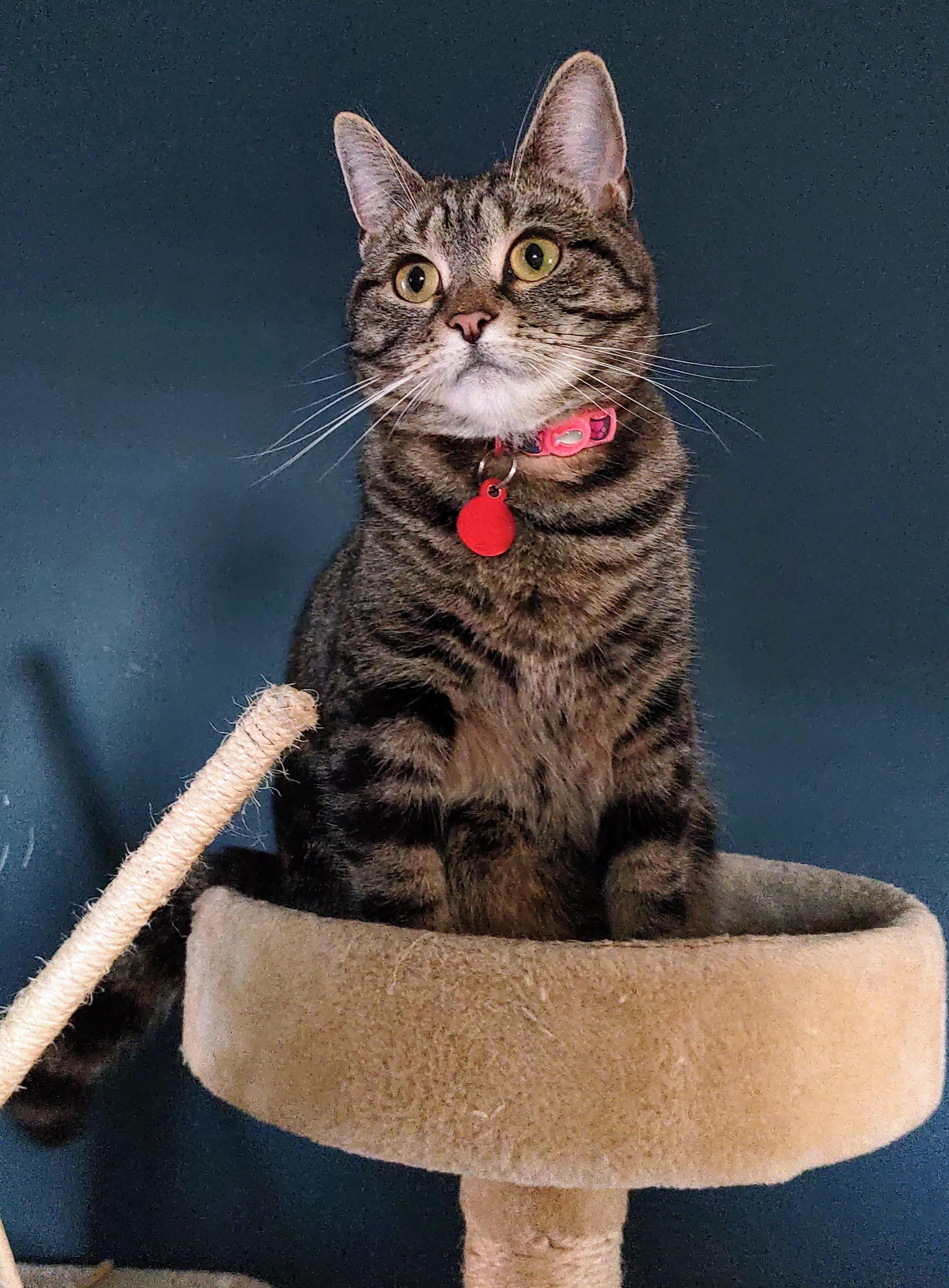 Public speaking training x | Scrolller