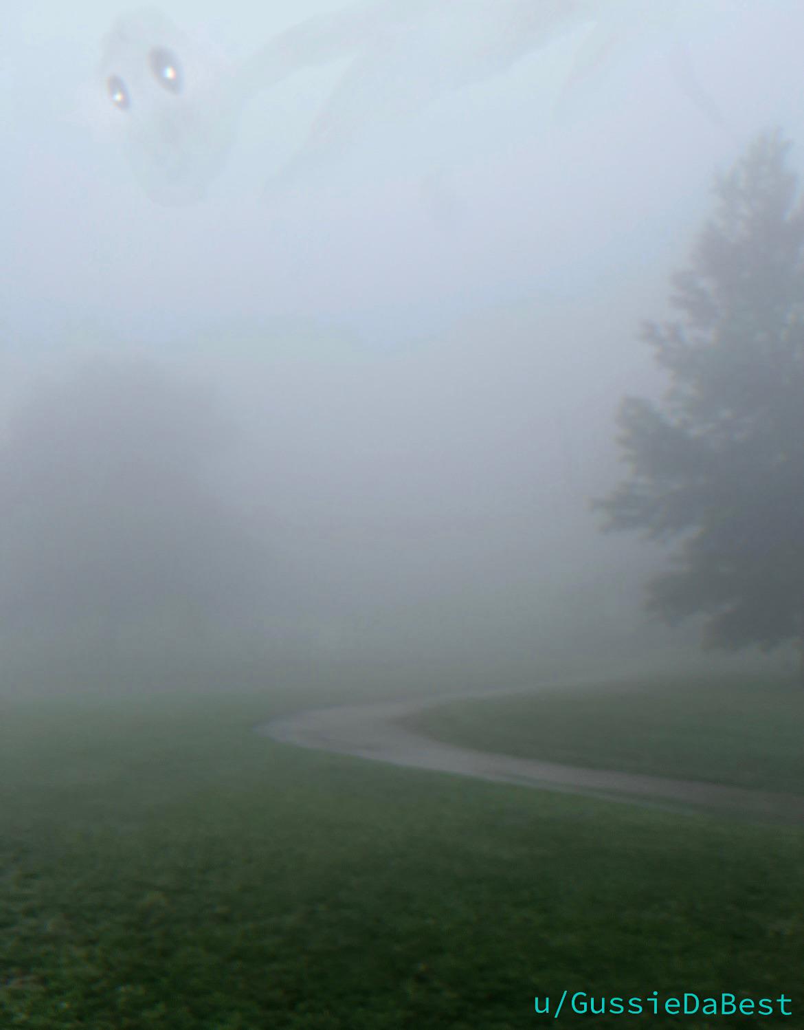 “The Beast Of The Pathway” by me | Scrolller