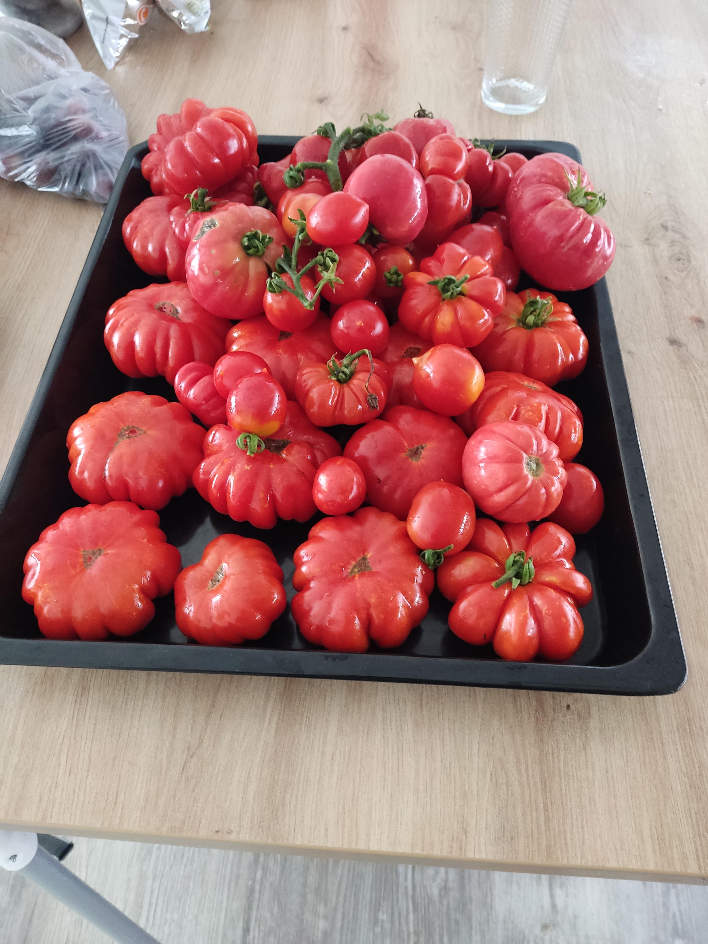 First batch, more to come :) | Scrolller