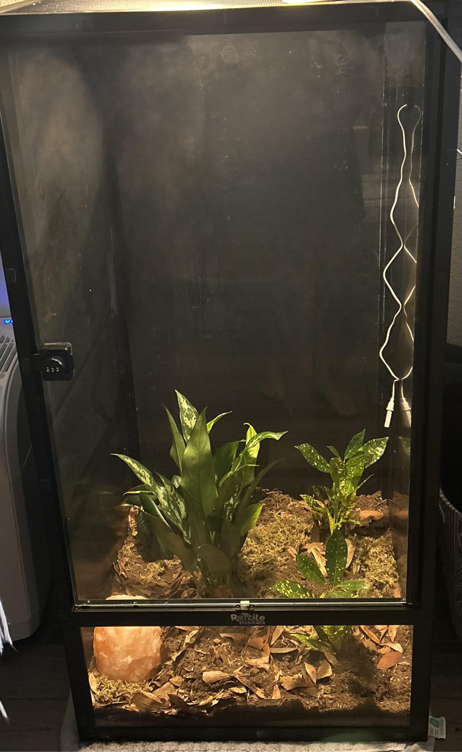 Bioactive set up | Scrolller