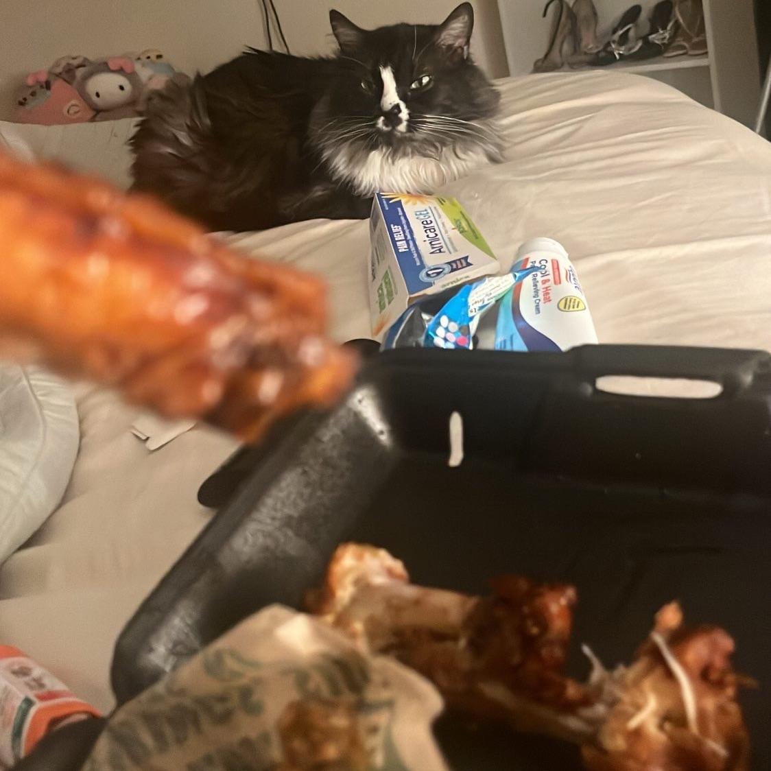 Chickan wang | Scrolller