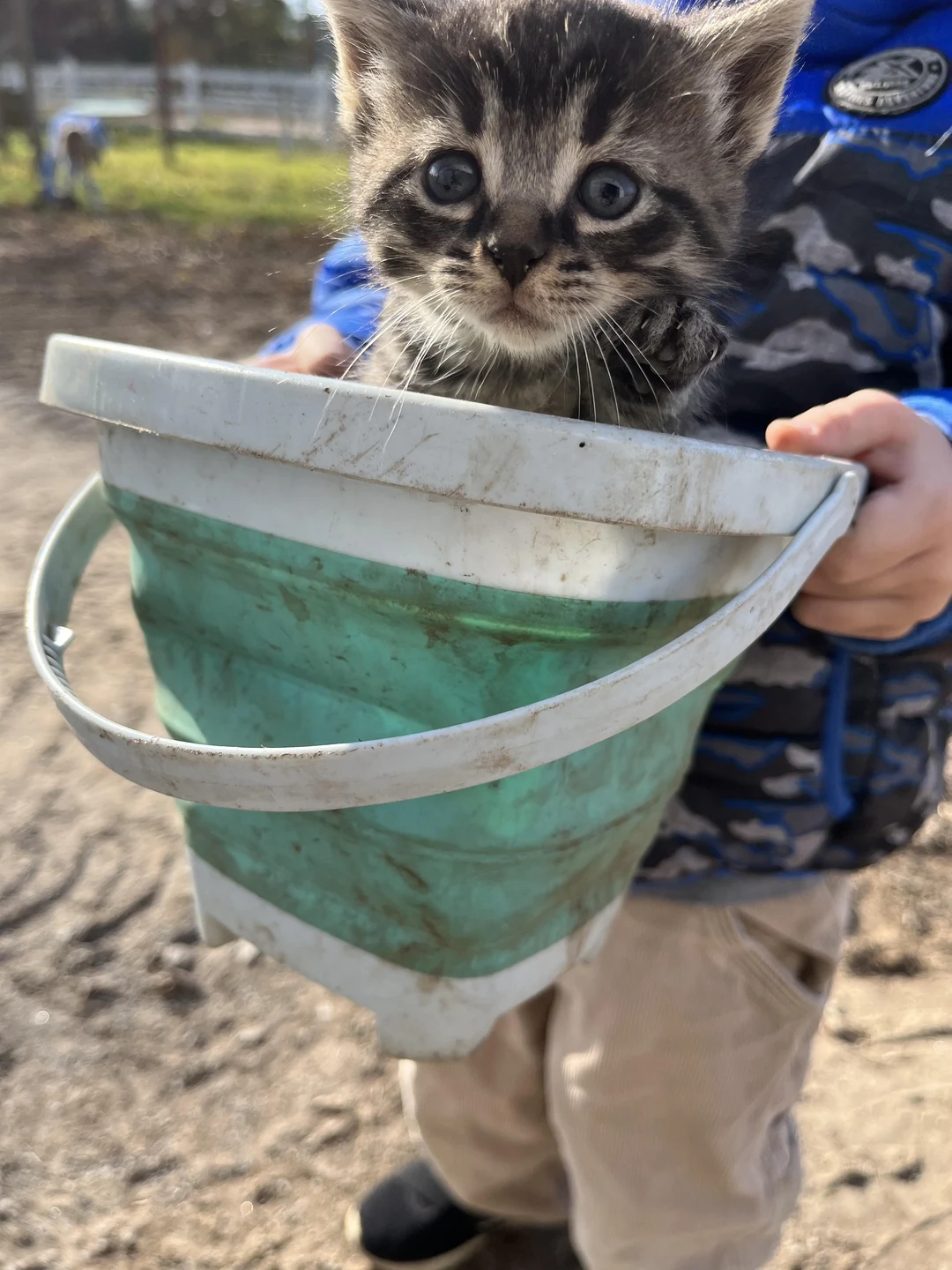 Bucket Baby | Scrolller