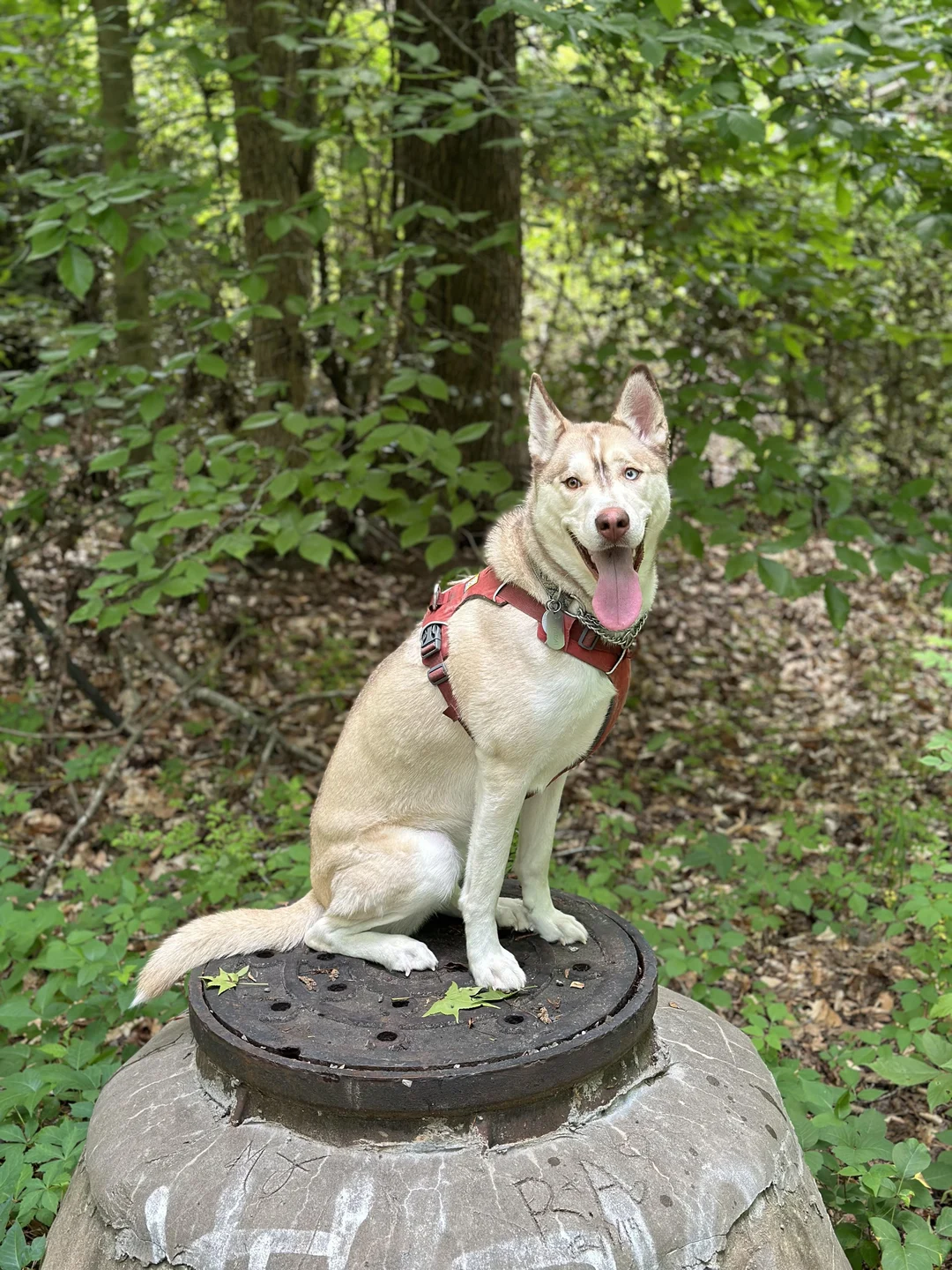 Good girl, Sushi. | Scrolller