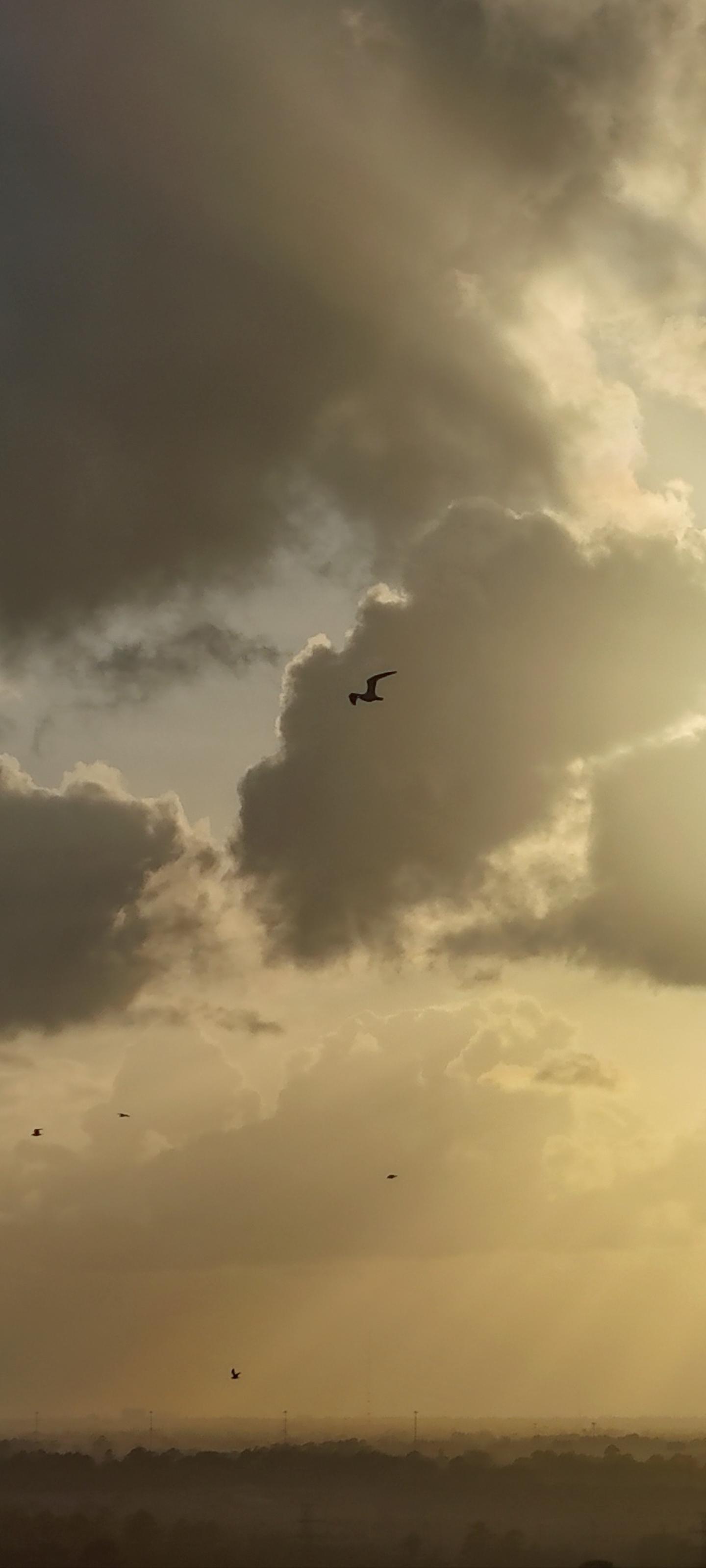 Dusk Clouds | Scrolller