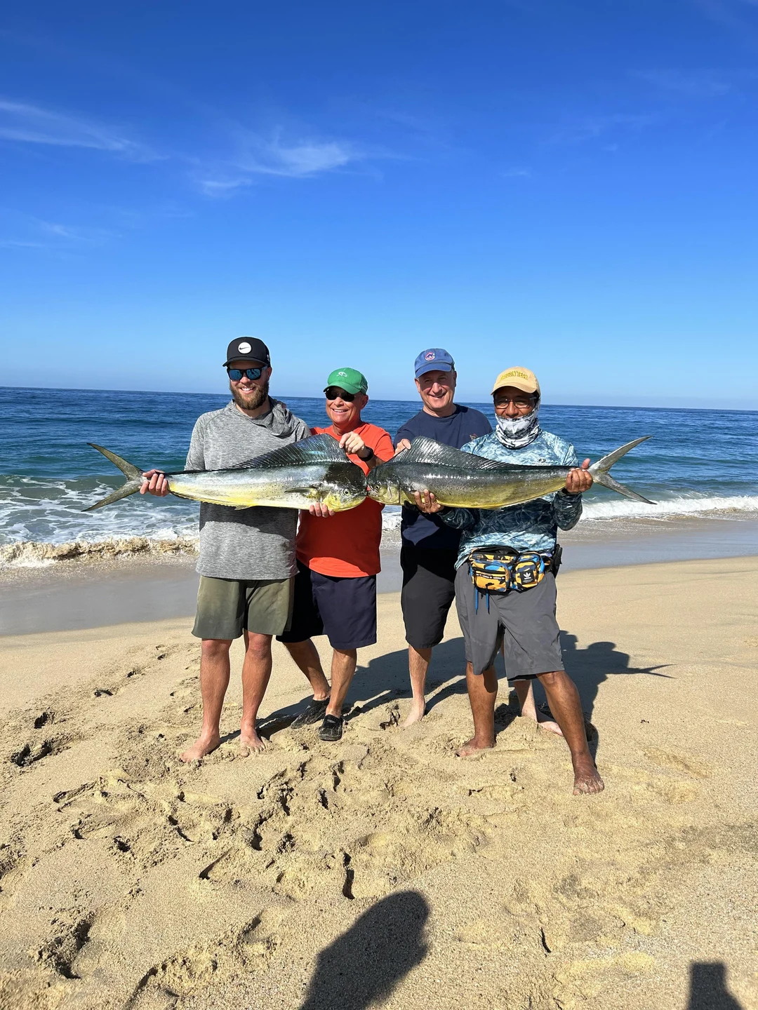 Mahi Mahi Cabo San Lucas Amex | Scrolller