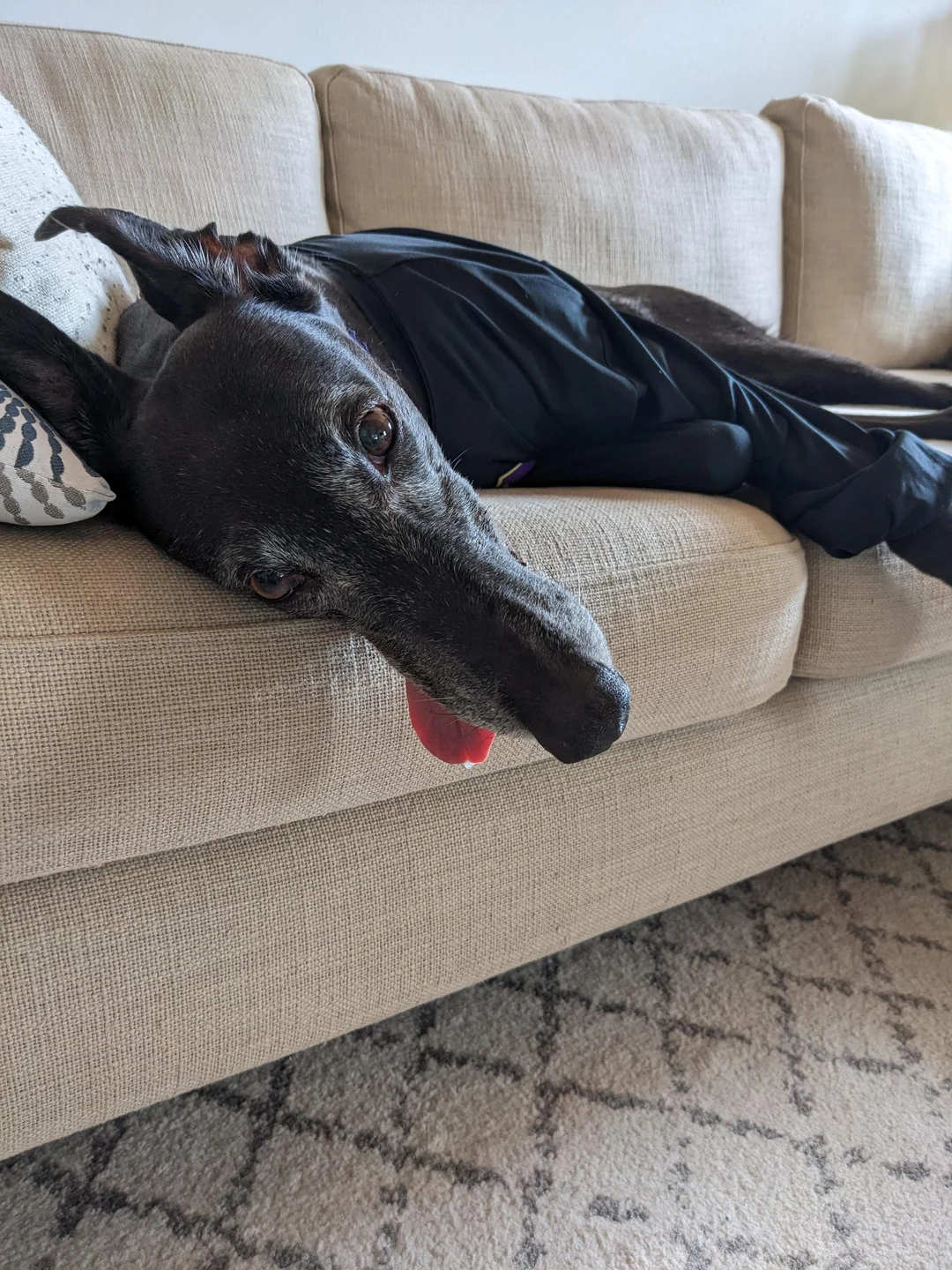 Shoot, mine got too warm and melted. | Scrolller