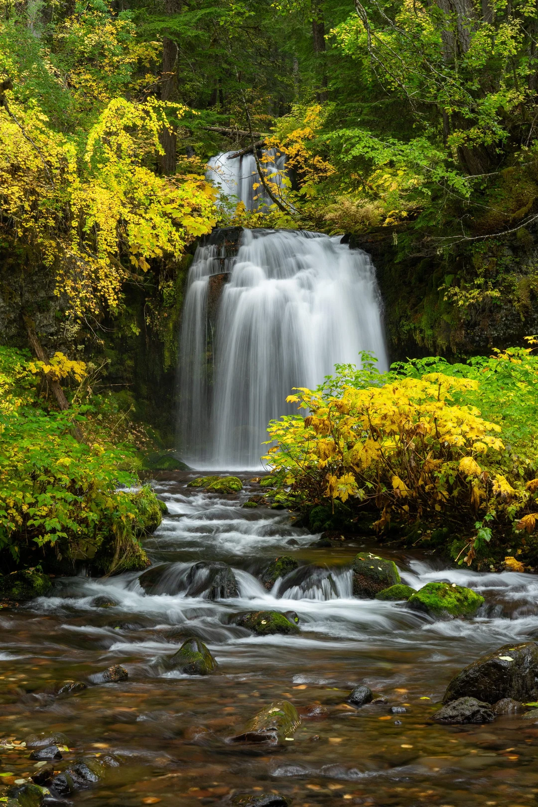 Starting to look like Fall - Washington State [OC] [2154x3231] | Scrolller