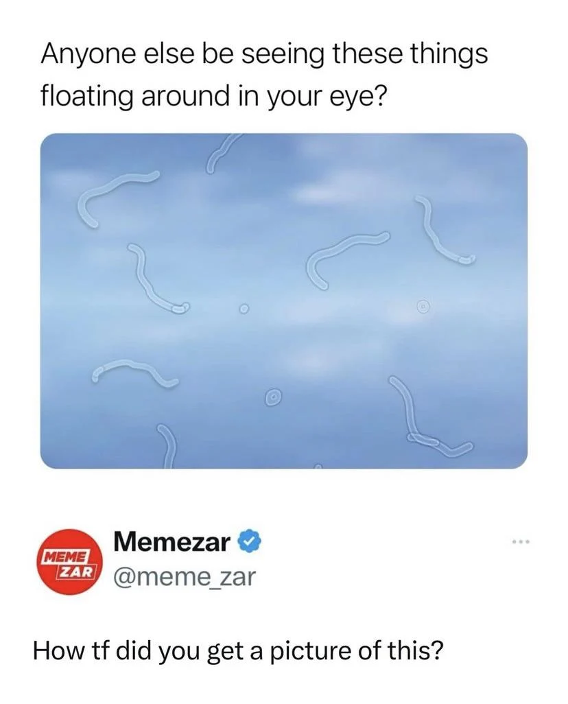 No One Around Me Believed Me Scrolller