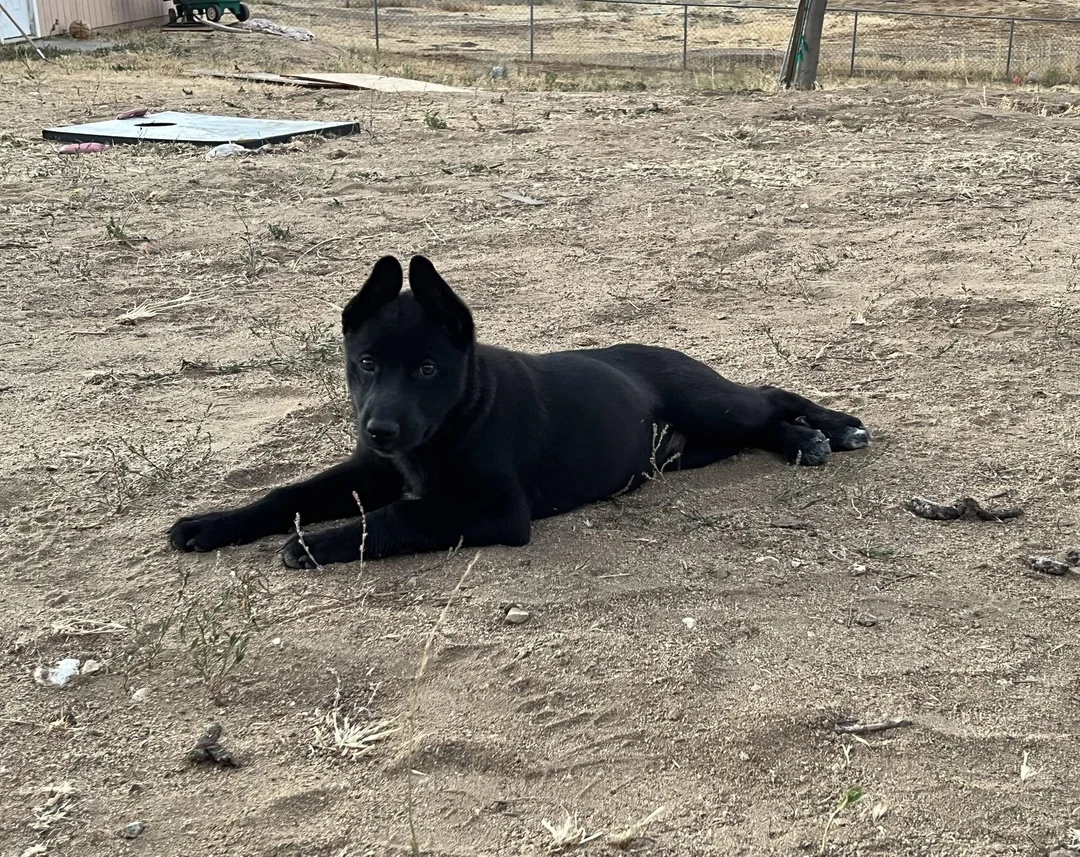 My spirited Zuko | Scrolller