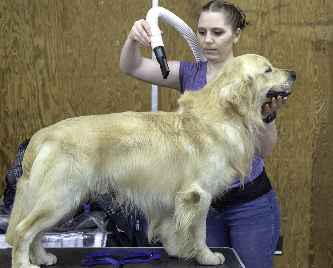 enjoy the journey | Scrolller