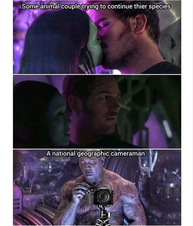 This is what happens when you try to get a close-up of a mating ritual. | Scrolller