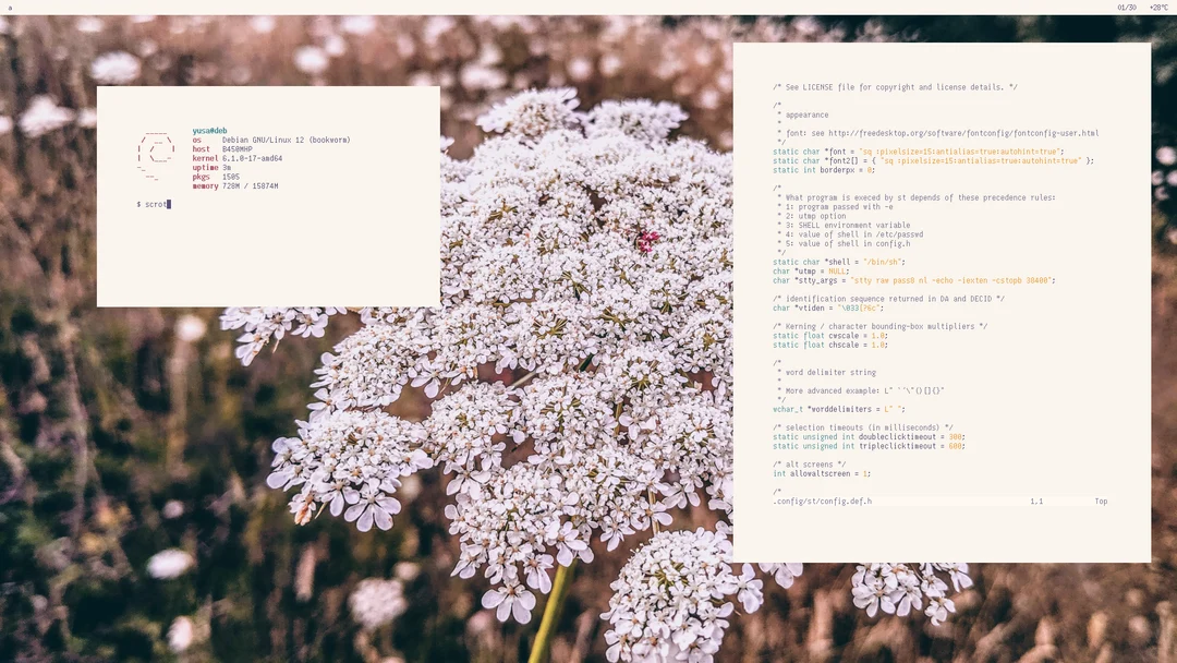 [bspwm] a (fail) try to do a "minimal" debian xfce | Scrolller