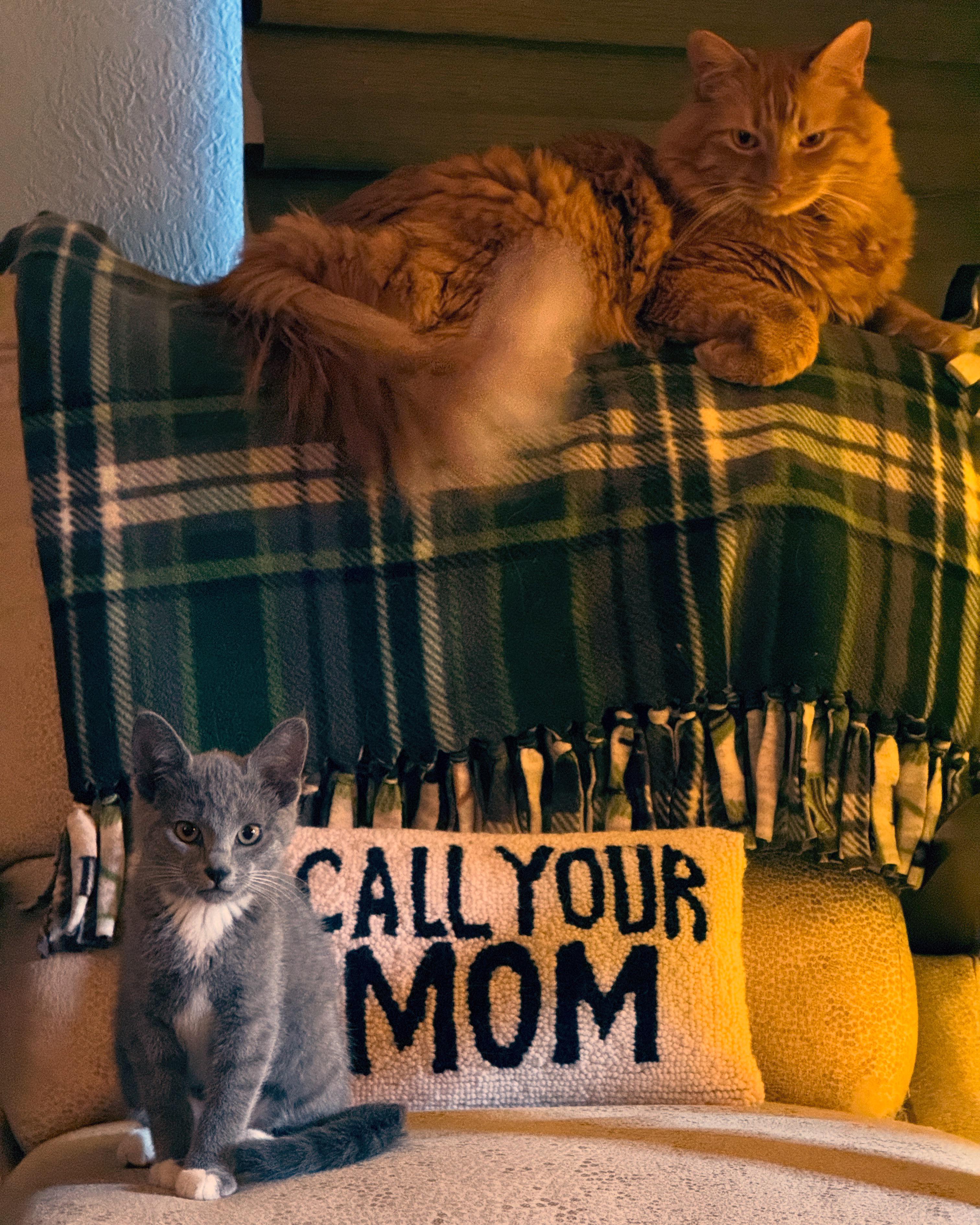 Franklin & Delilah | Scrolller