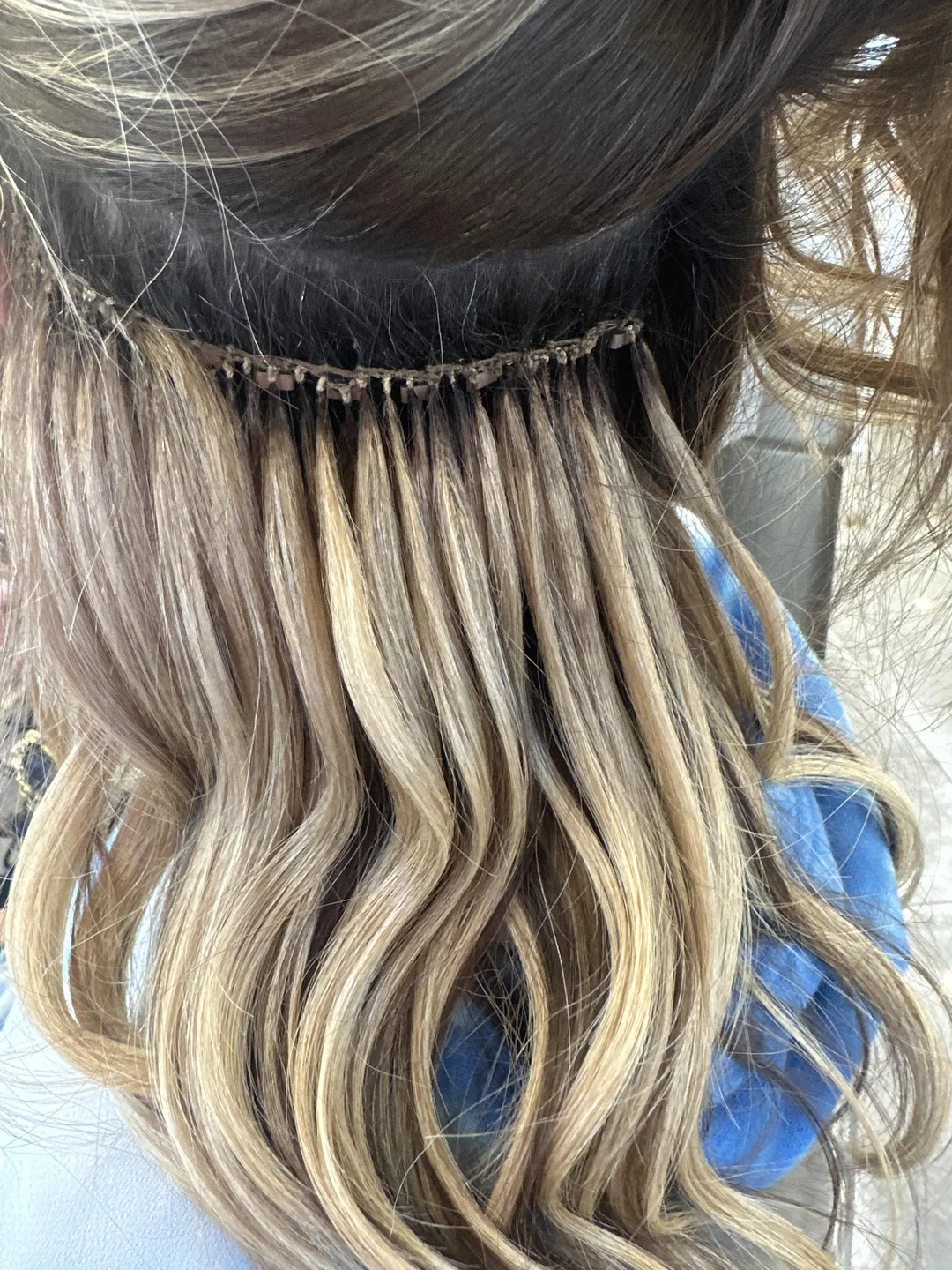 Help me find these extensions! 🙏🏻 | Scrolller