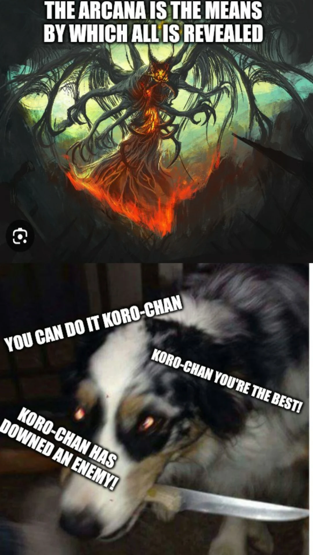 Knife dog >>>>> eldritch horror | Scrolller
