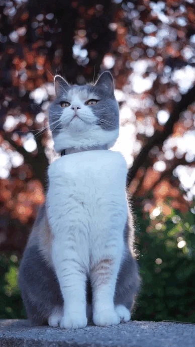 how good is he | Scrolller