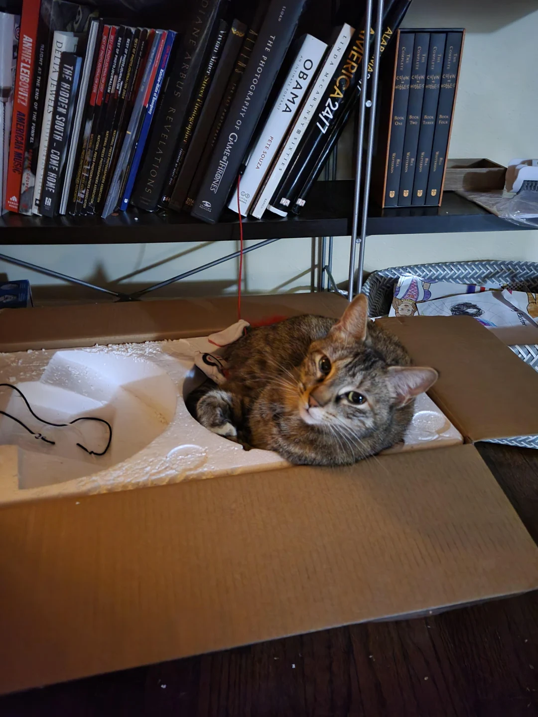 Garbage so comfy | Scrolller