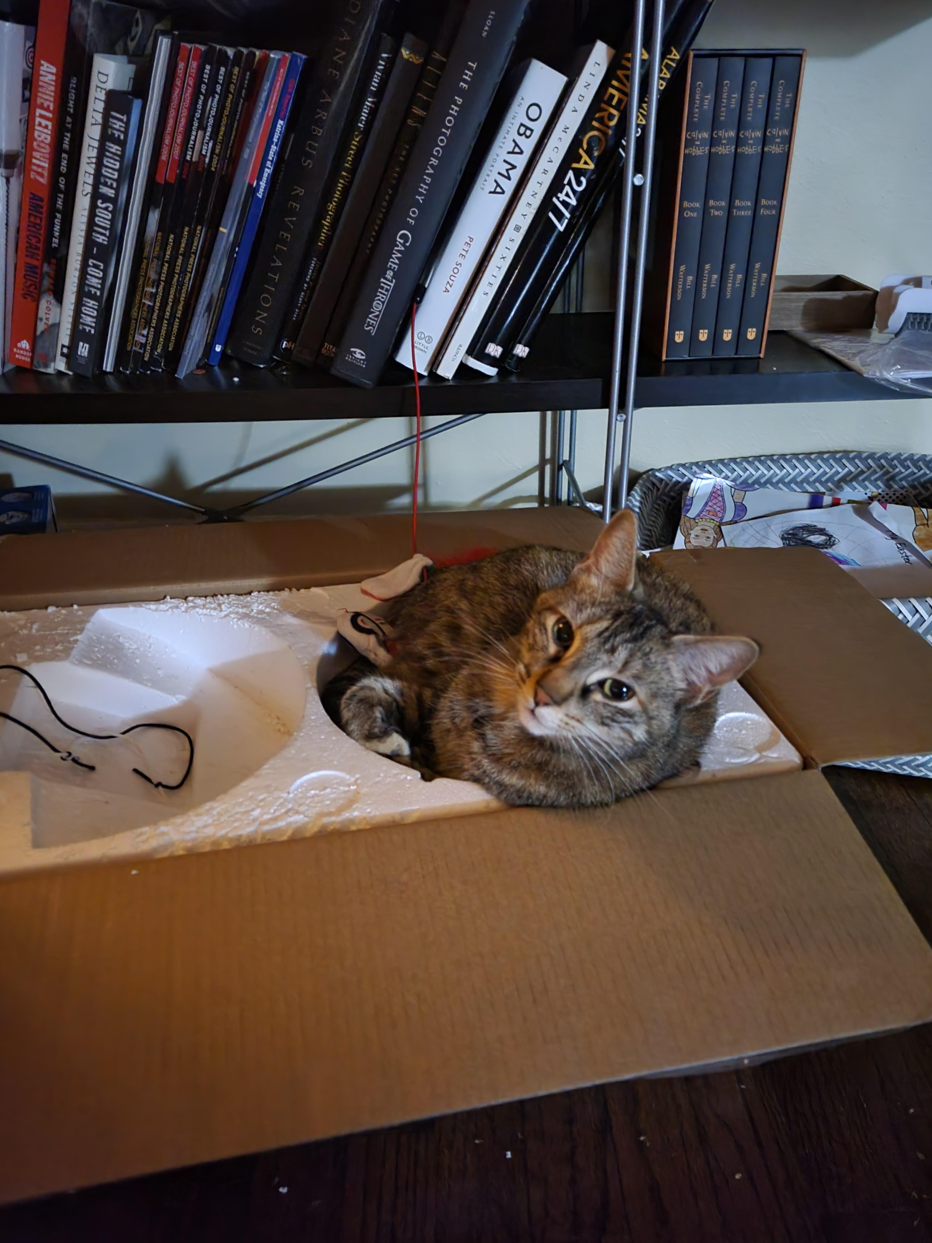 Discover more like TIGHTPUSSY: Garbage so comfy and Related Content | Scrolller