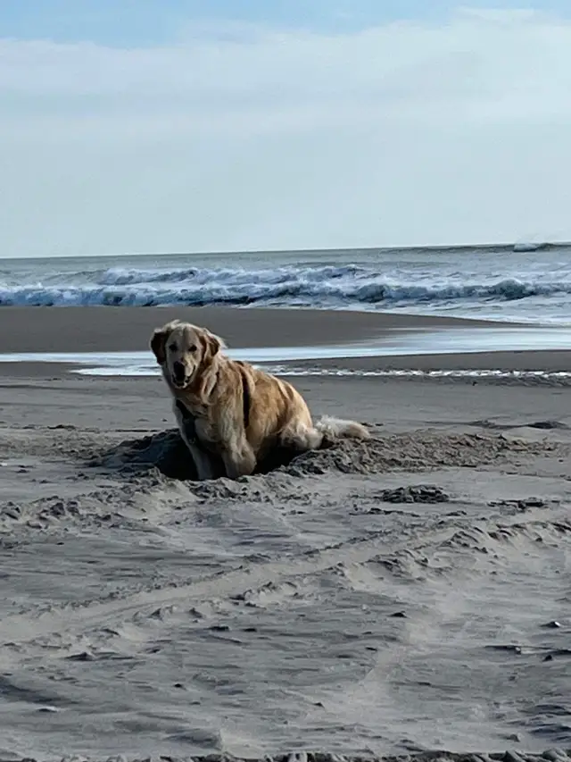 Sonny is so proud of his big hole | Scrolller