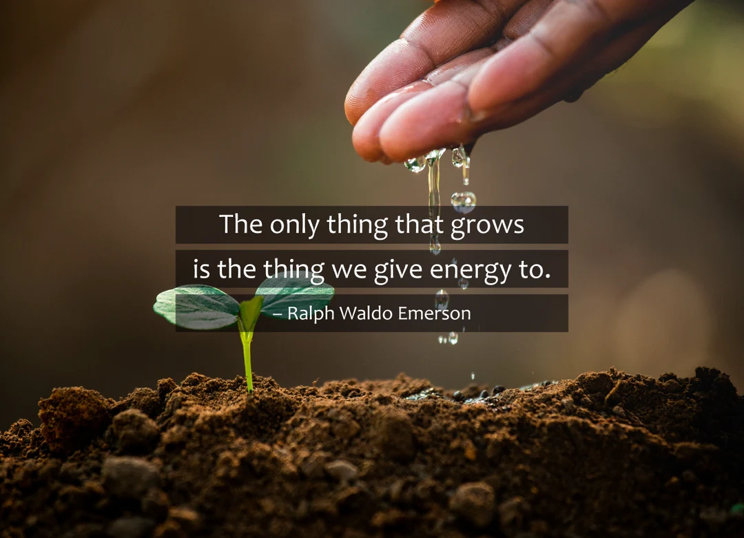 Identify what matters to you. | Scrolller