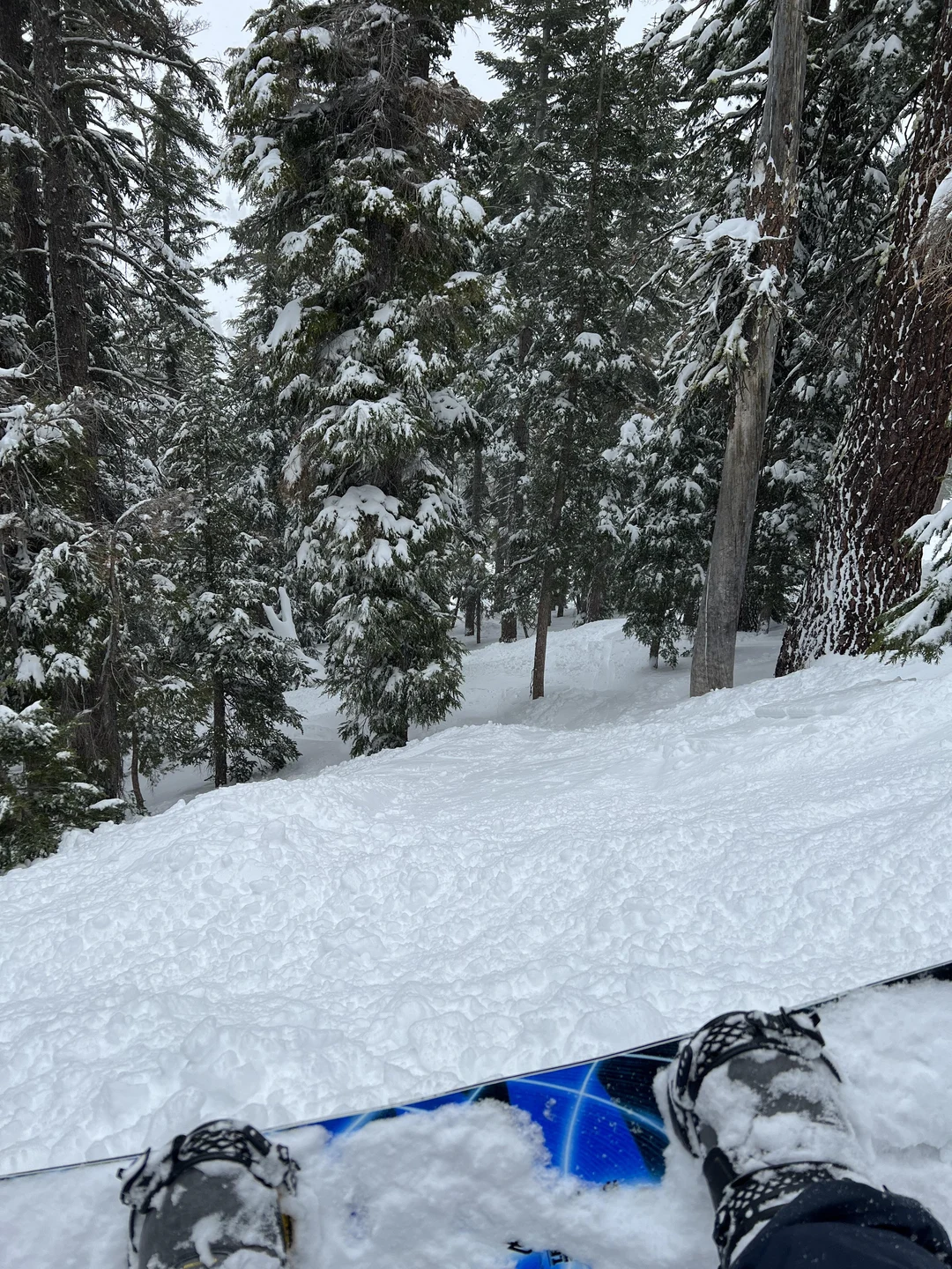 Tahoe this week | Scrolller
