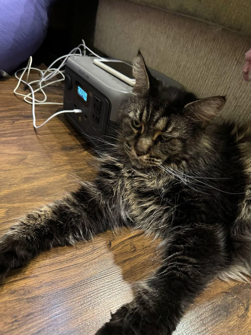 Charging… | Scrolller