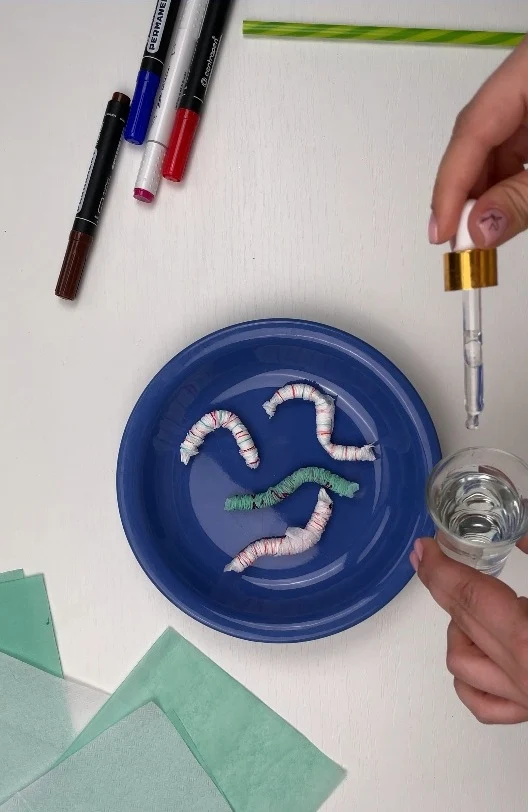 Lively Worms - Science experiment for kids (Tutorial in comment) | Scrolller