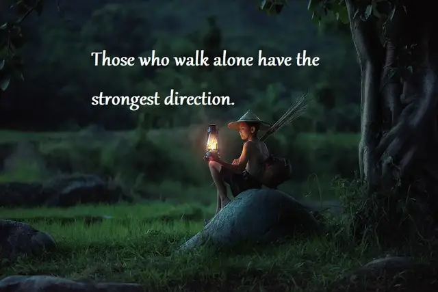 [Image] "Those who walk alone have the strongest direction." | Scrolller