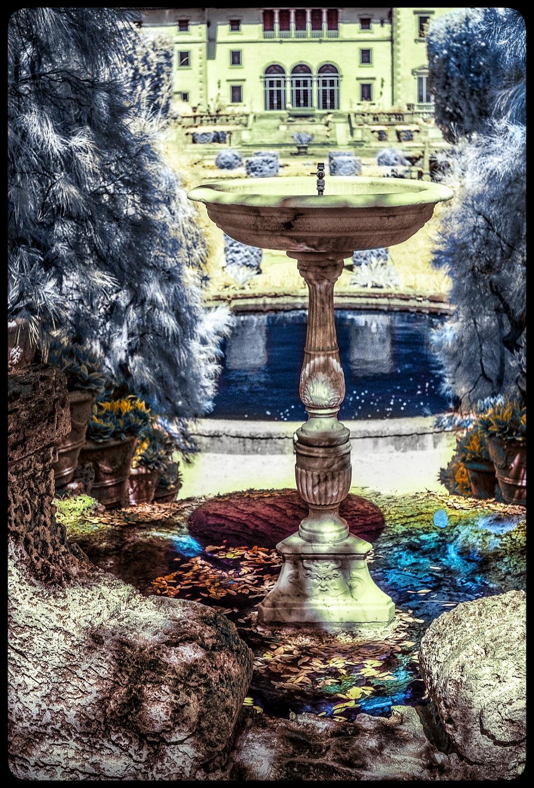 Fuji X-E1 full spectrum | Scrolller