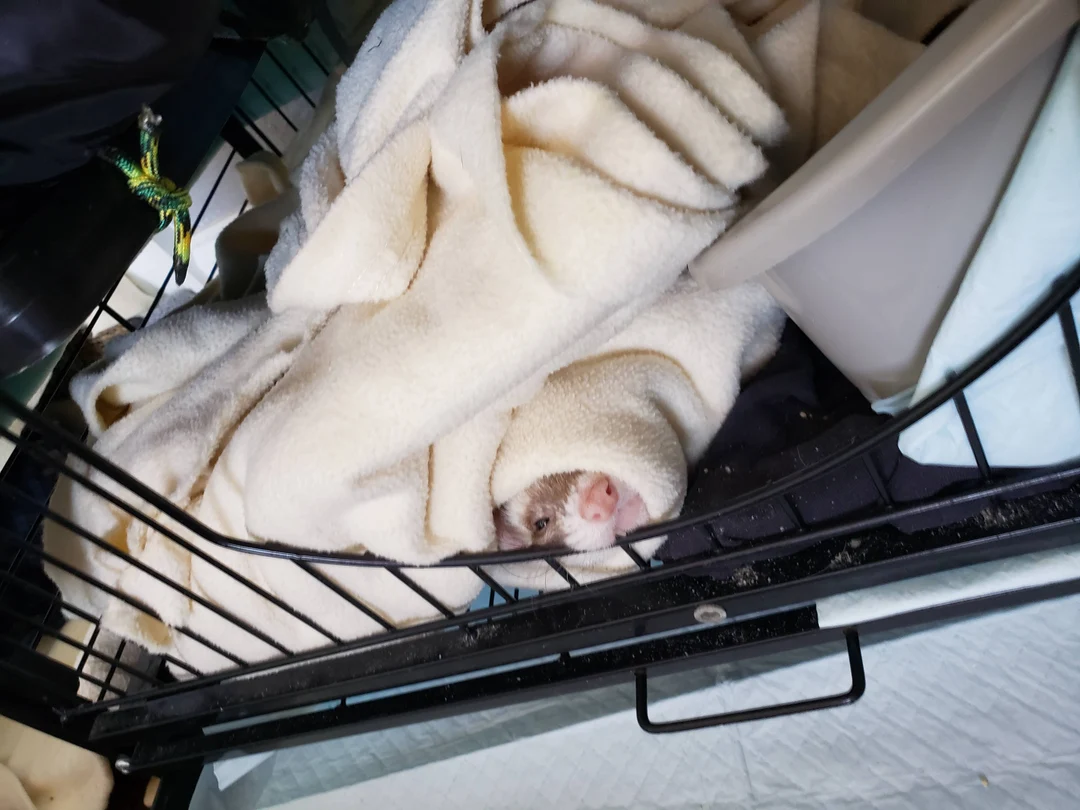 new sheets hit different | Scrolller