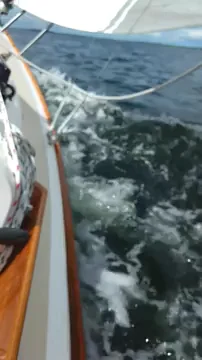 rail under | Scrolller