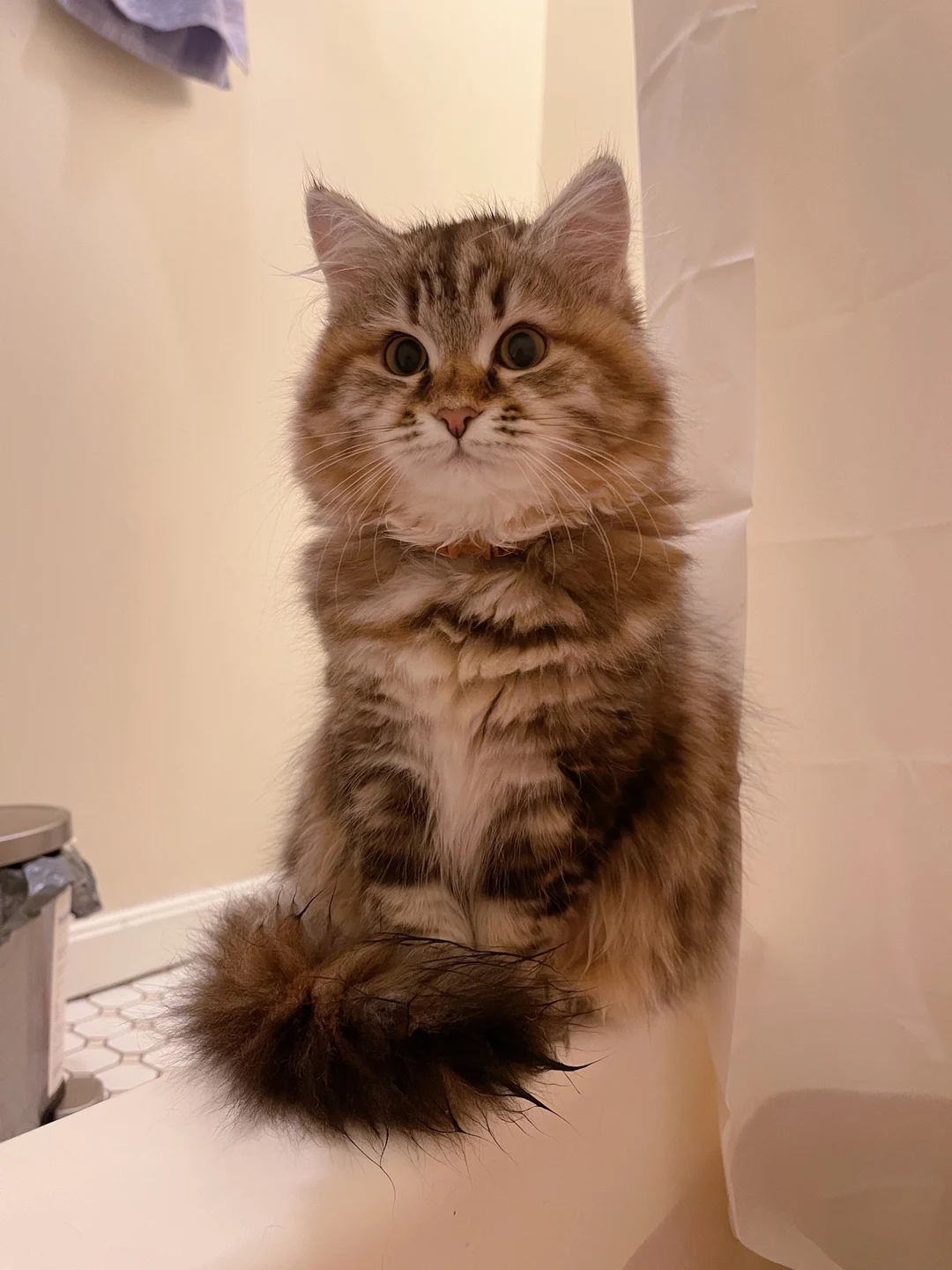 rusalka makes a pretty great bathtime bodyguard 😌 | Scrolller