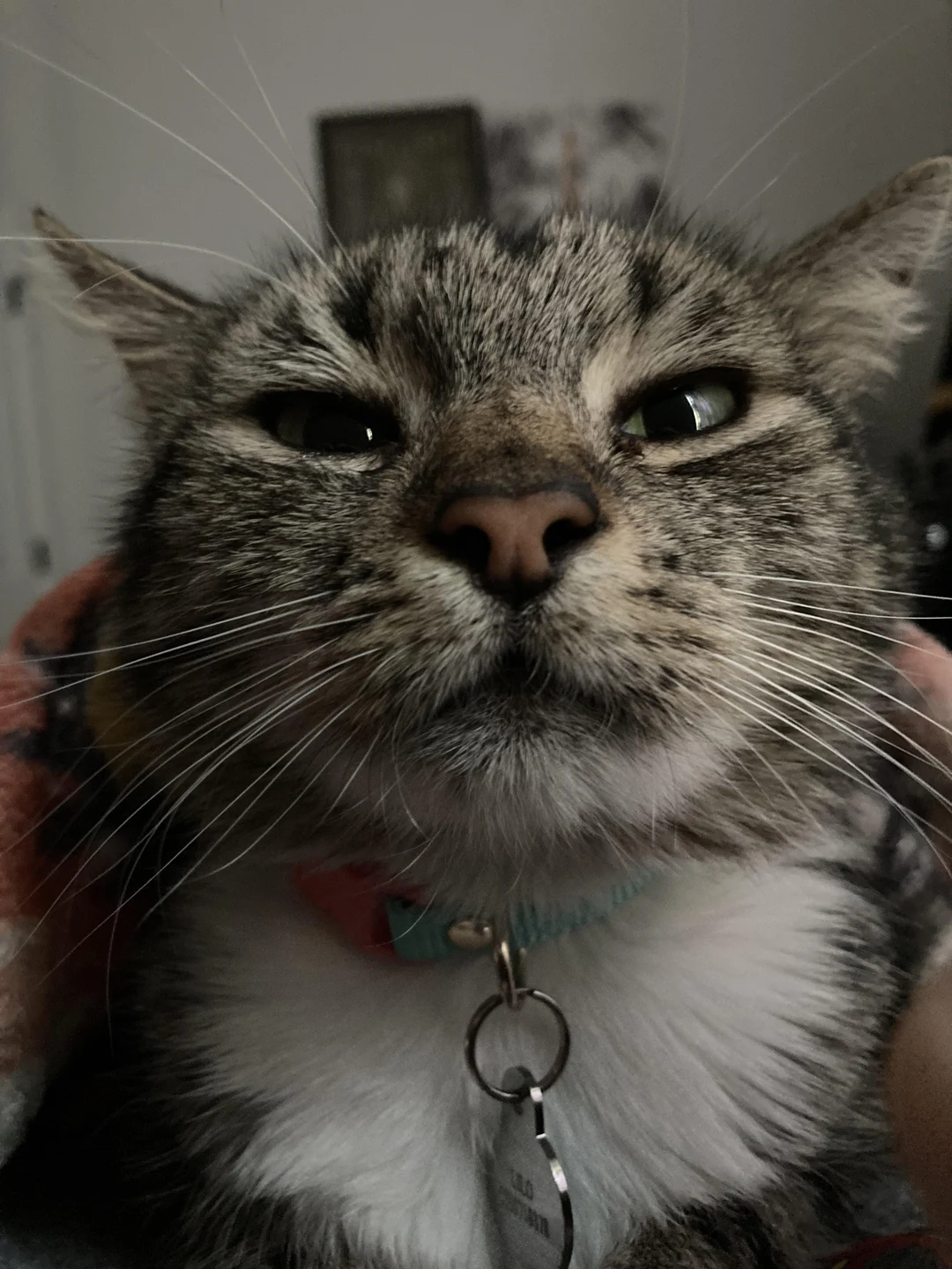 Up close loaf | Scrolller