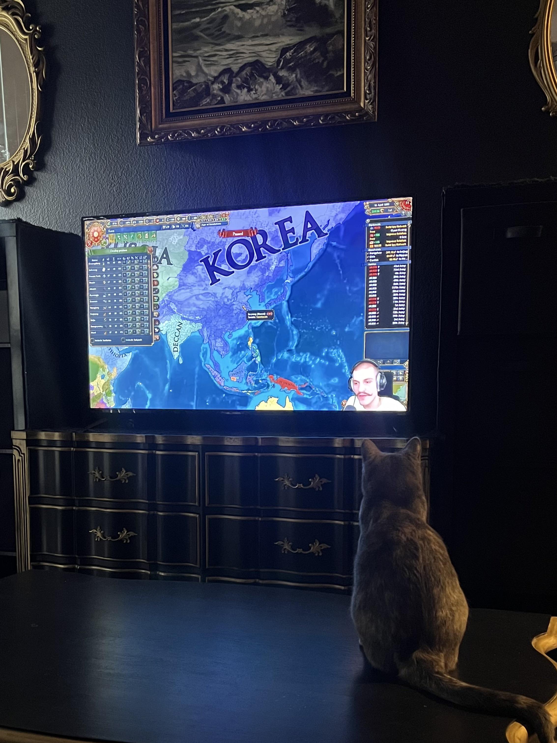 Gamer cat likes the maps | Scrolller
