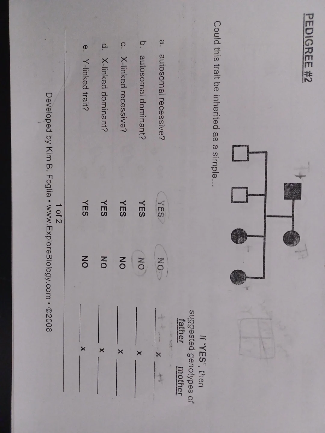Anyone know how to solve this pedigre? | Scrolller