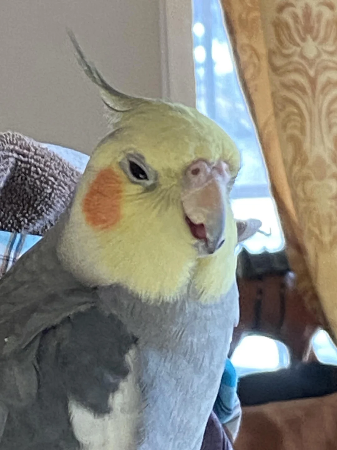 He’s plotting something | Scrolller