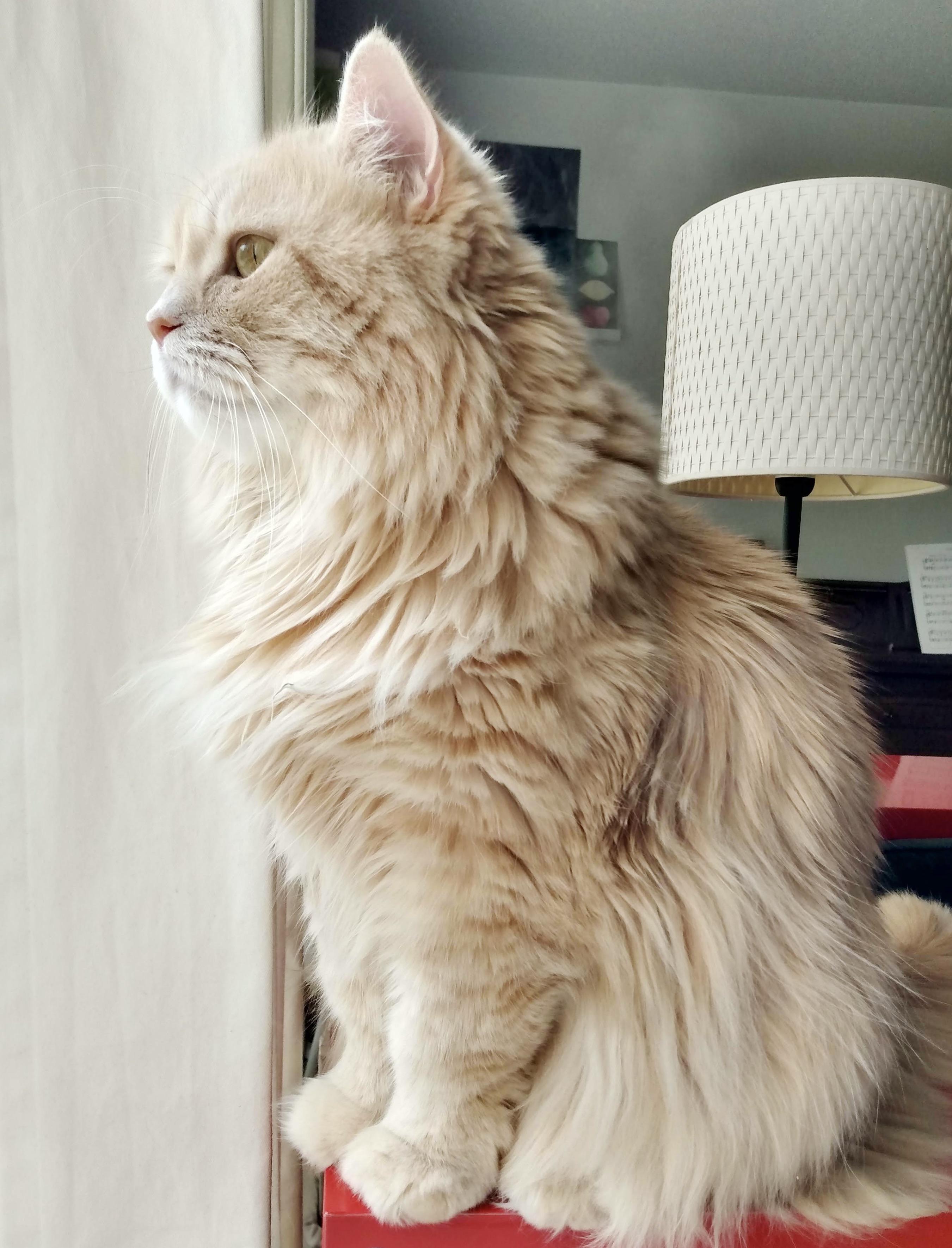 Handsome Gary | Scrolller