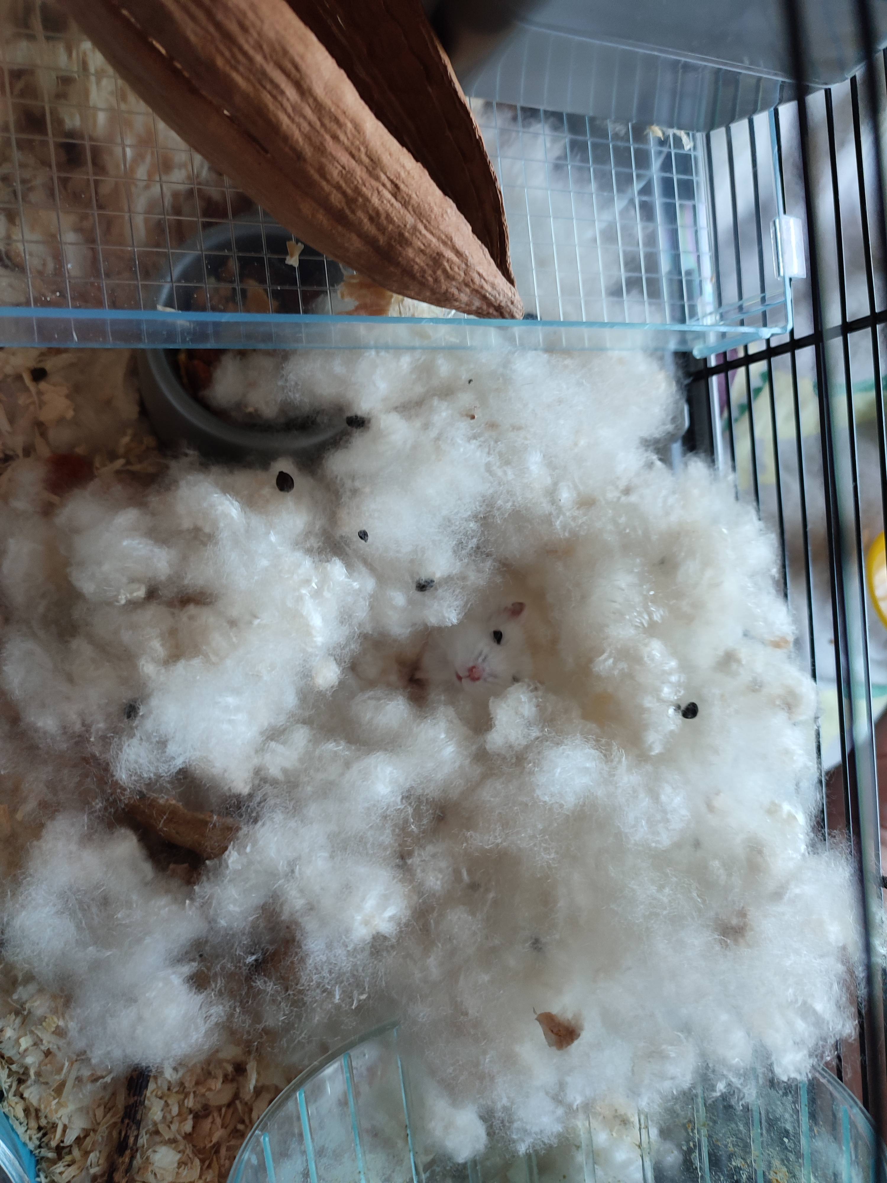 Perfect camouflage | Scrolller