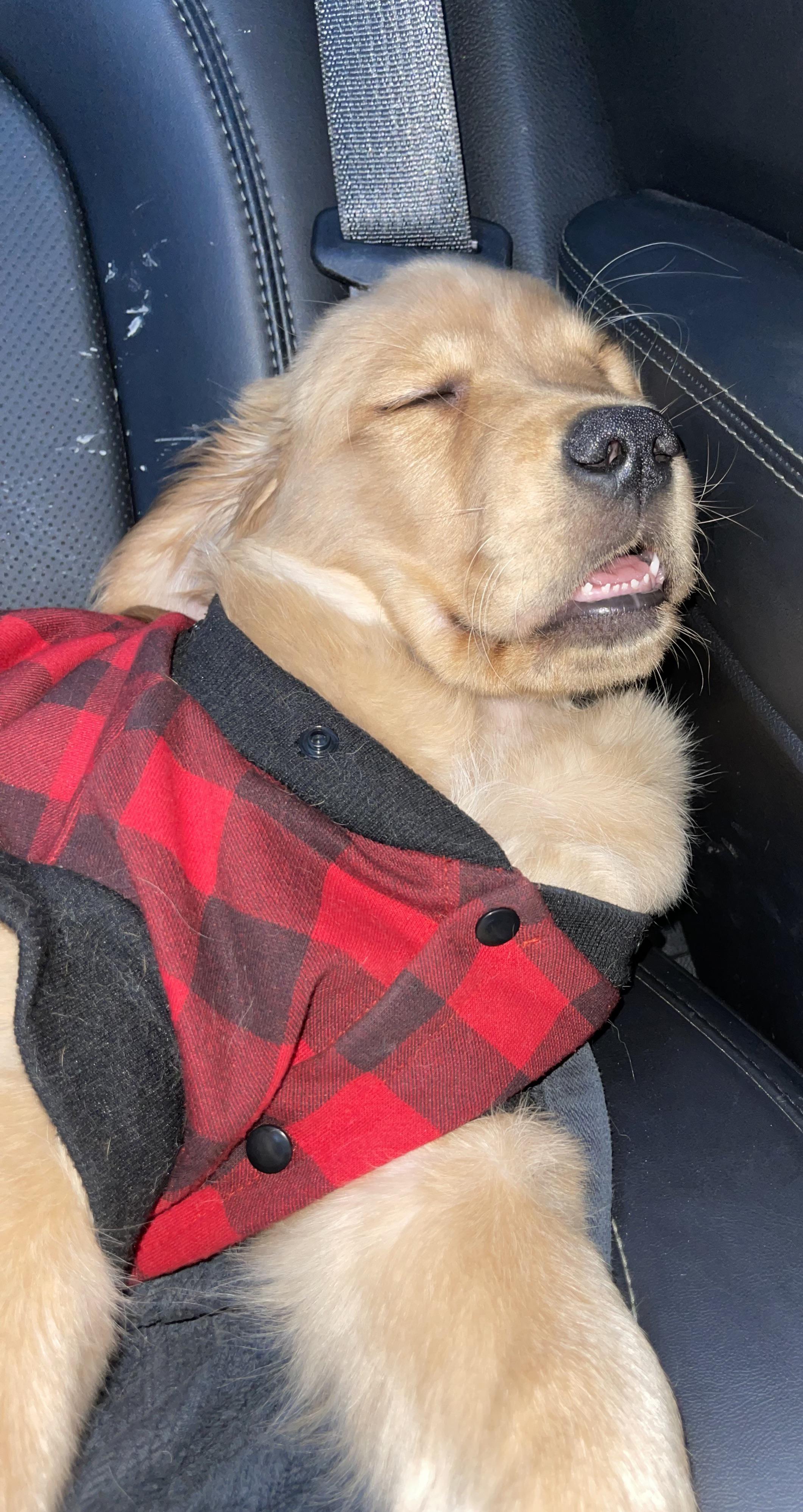 Winter is ruff… | Scrolller