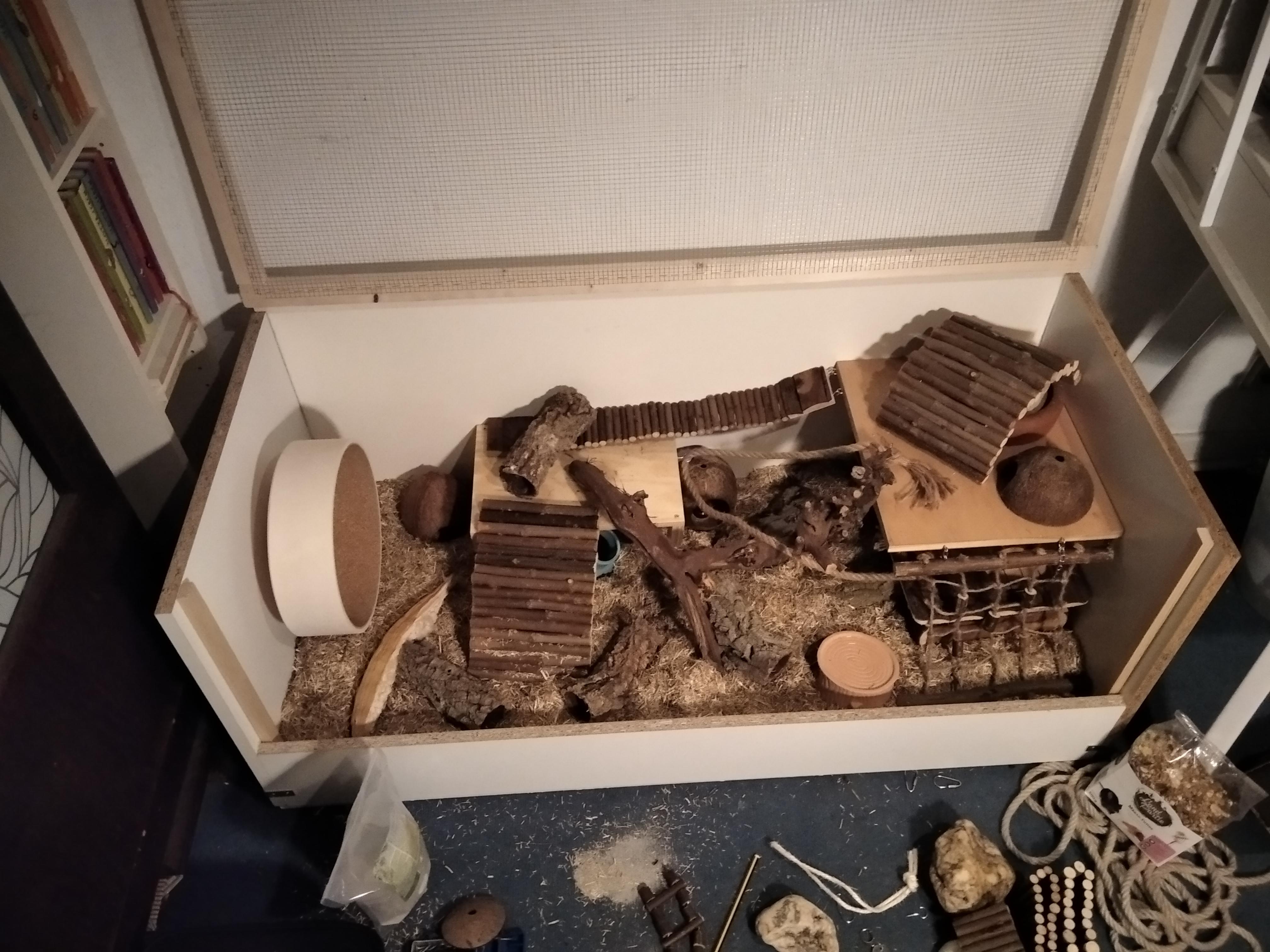 The finished enclosure for my two girls! | Scrolller