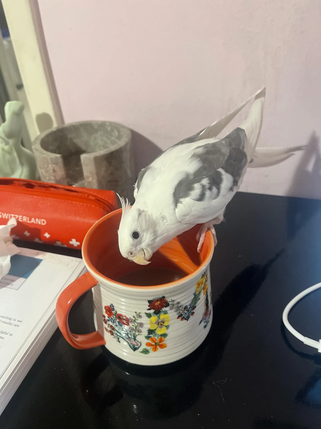 Just a sip please | Scrolller