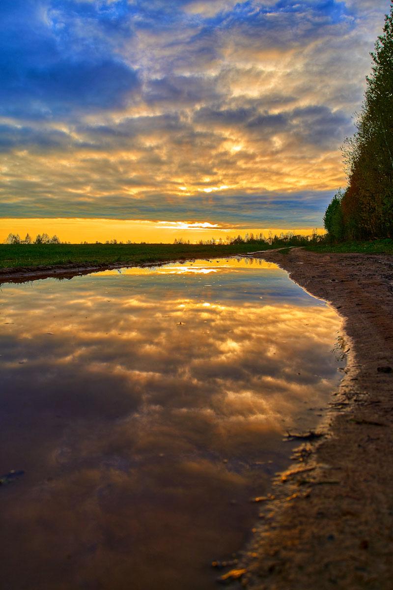 Puddle time [OC] | Scrolller