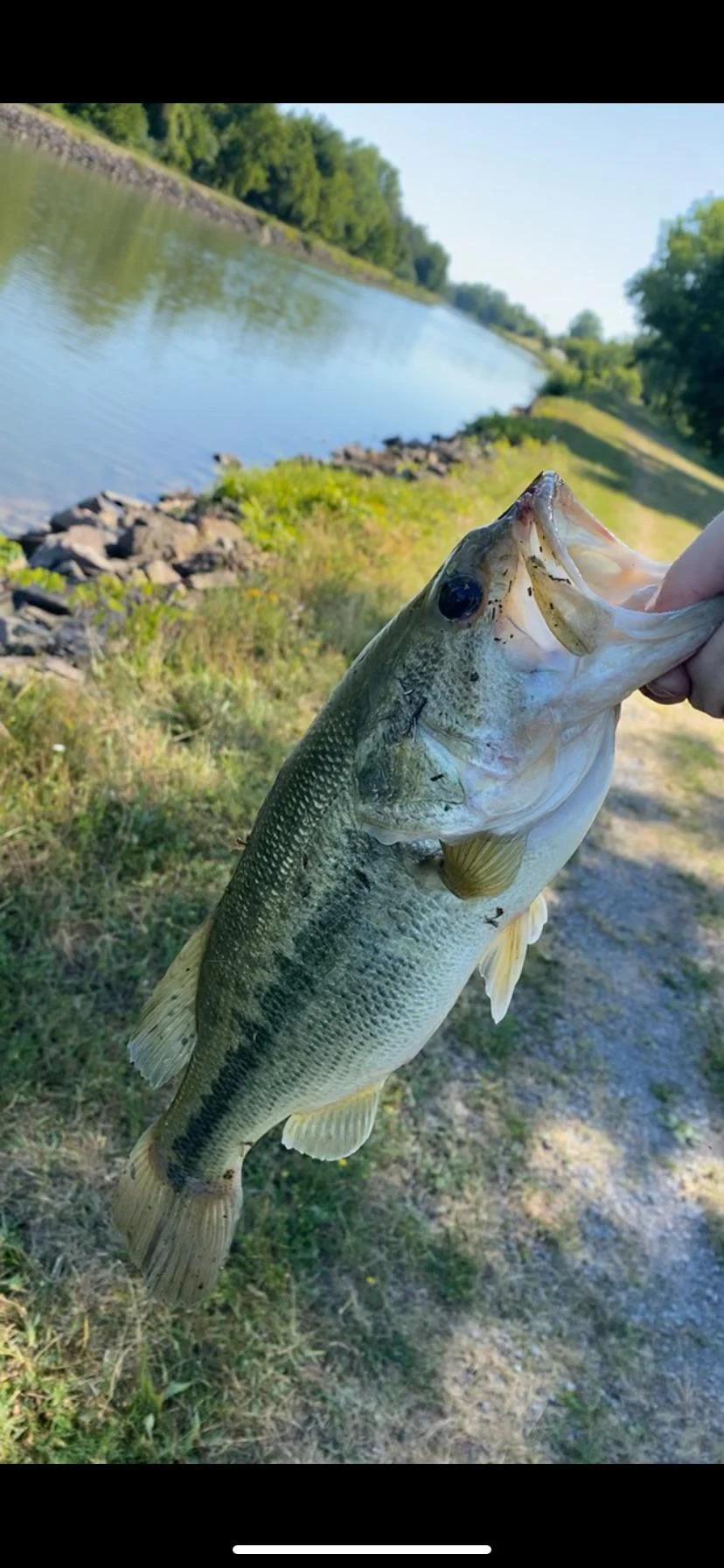 Any tips on fishing the Erie Canal? | Scrolller