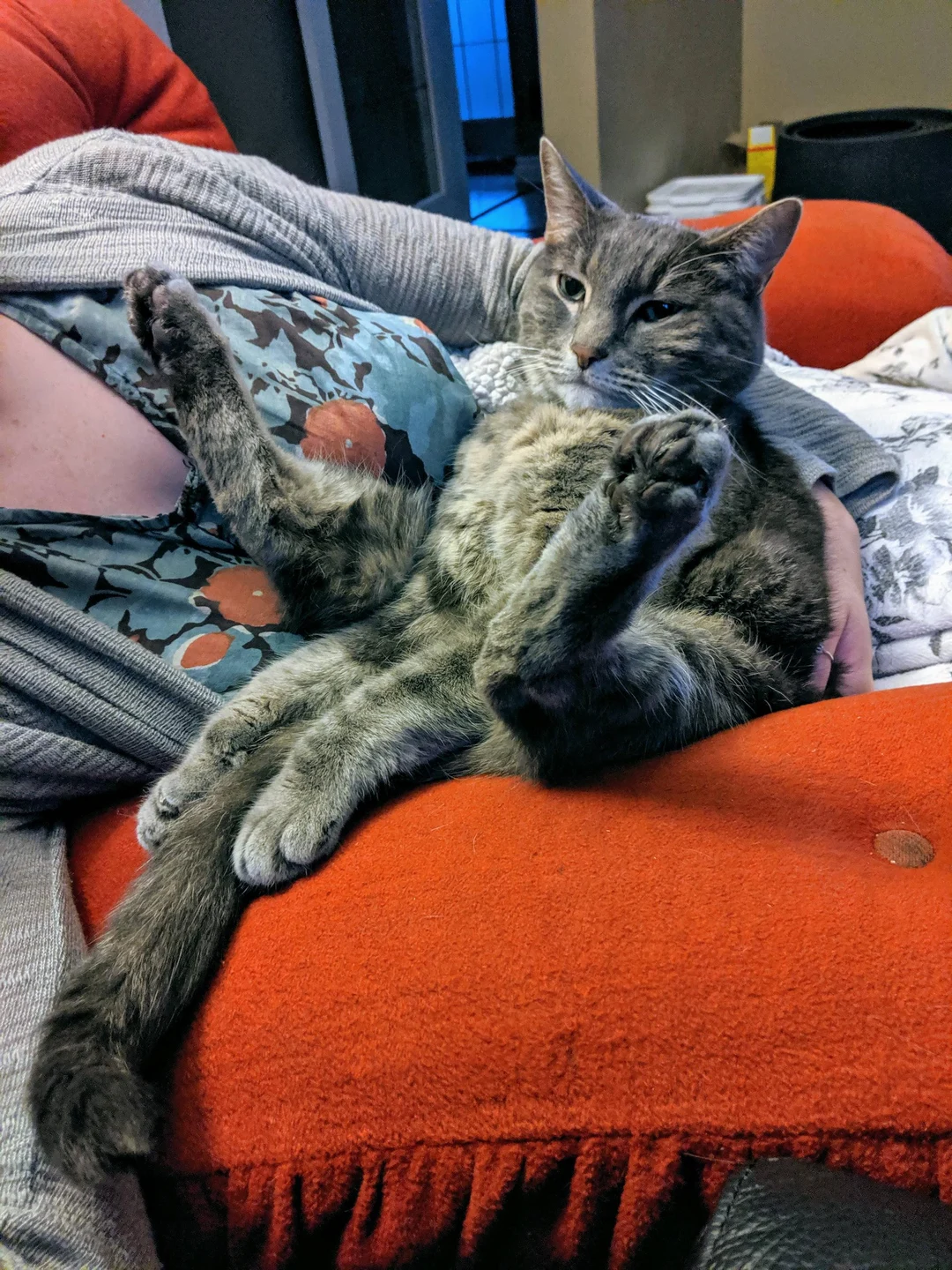 I guess it's more comfy than it looks | Scrolller