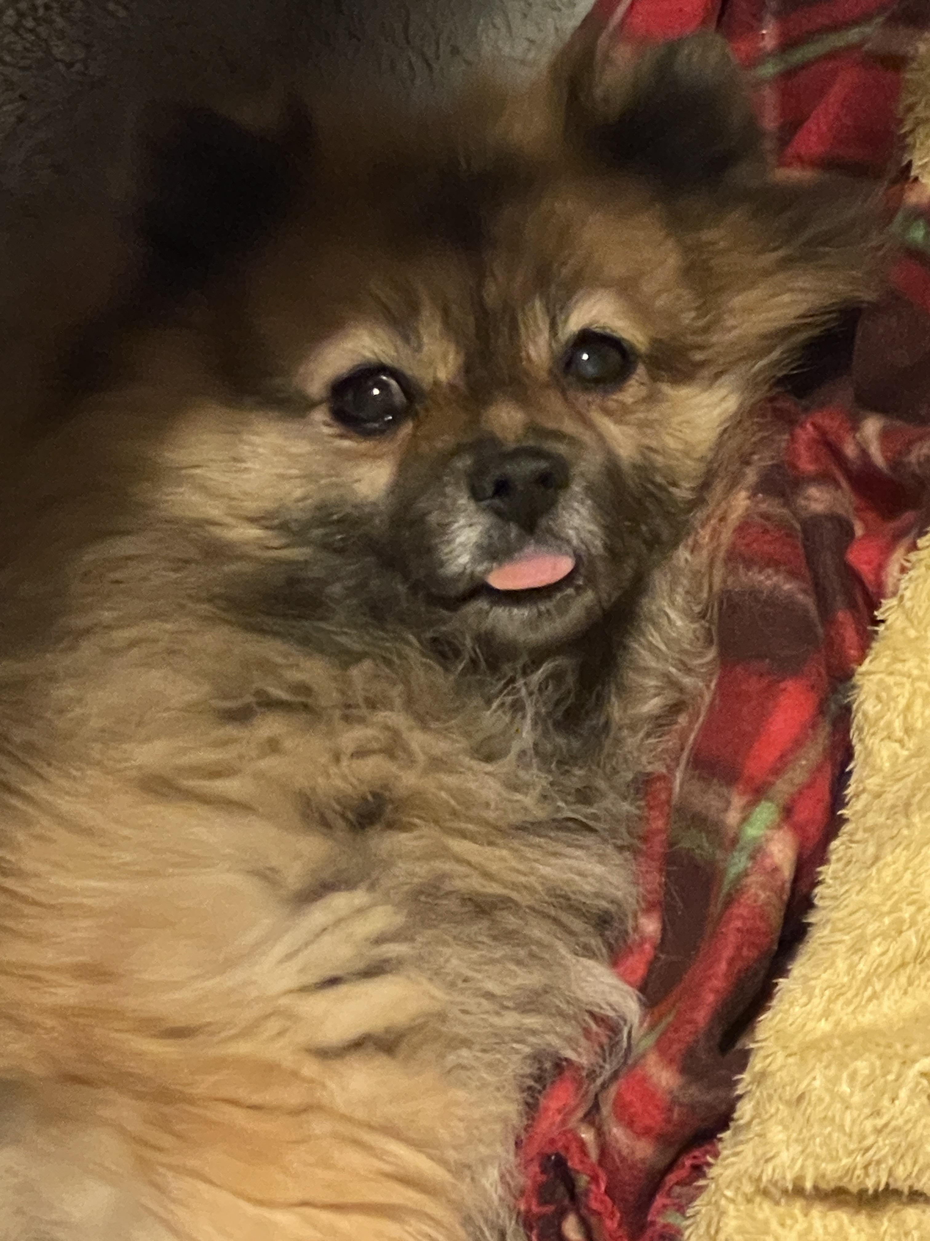 Daisy bleps 👅 | Scrolller