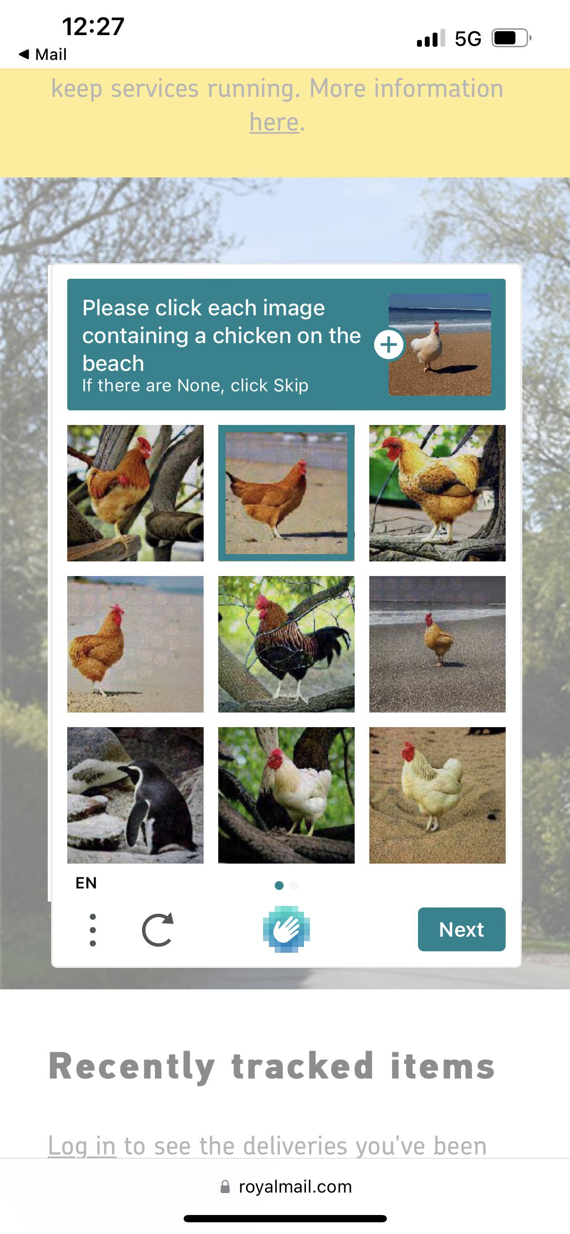 Chickens on a beach?! | Scrolller