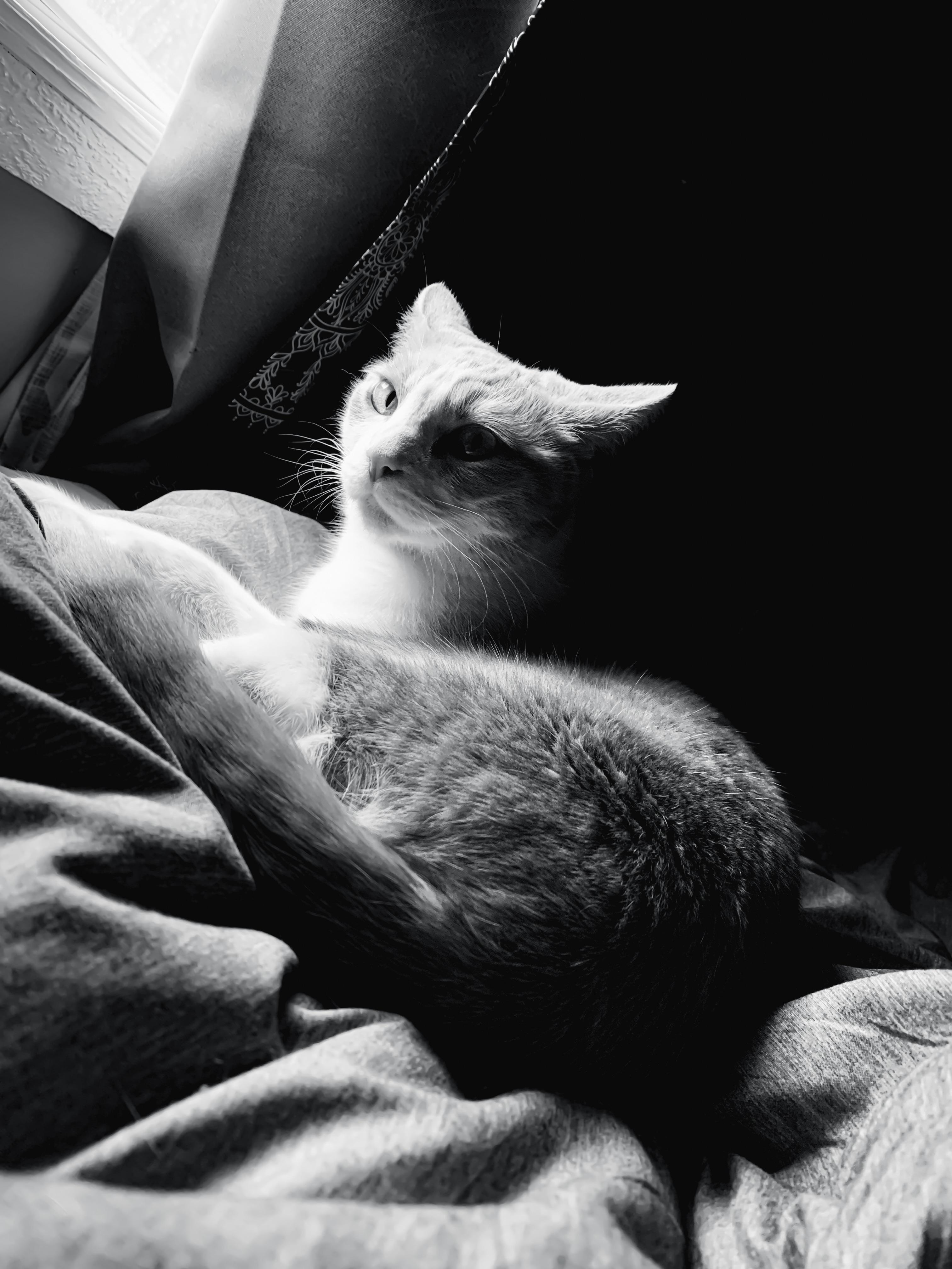 Sunbathing | Scrolller