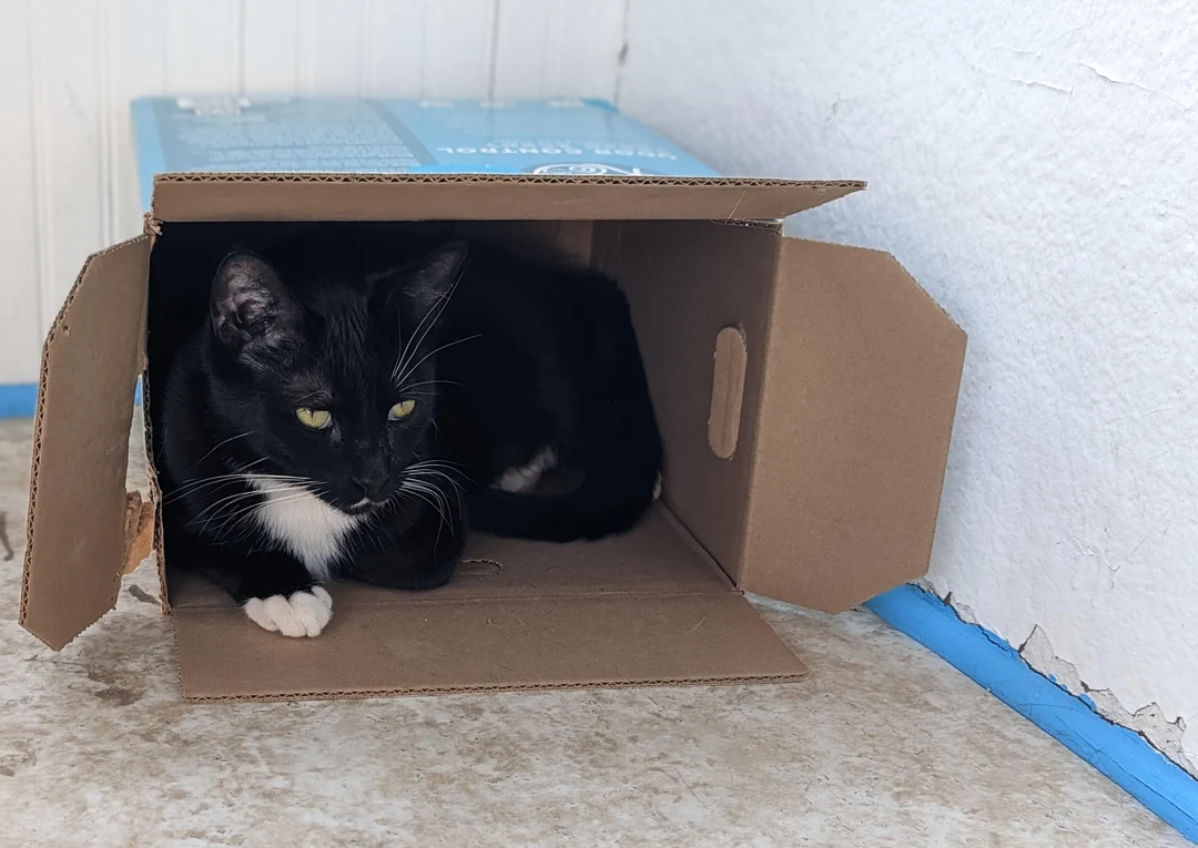 Tux trap | Scrolller