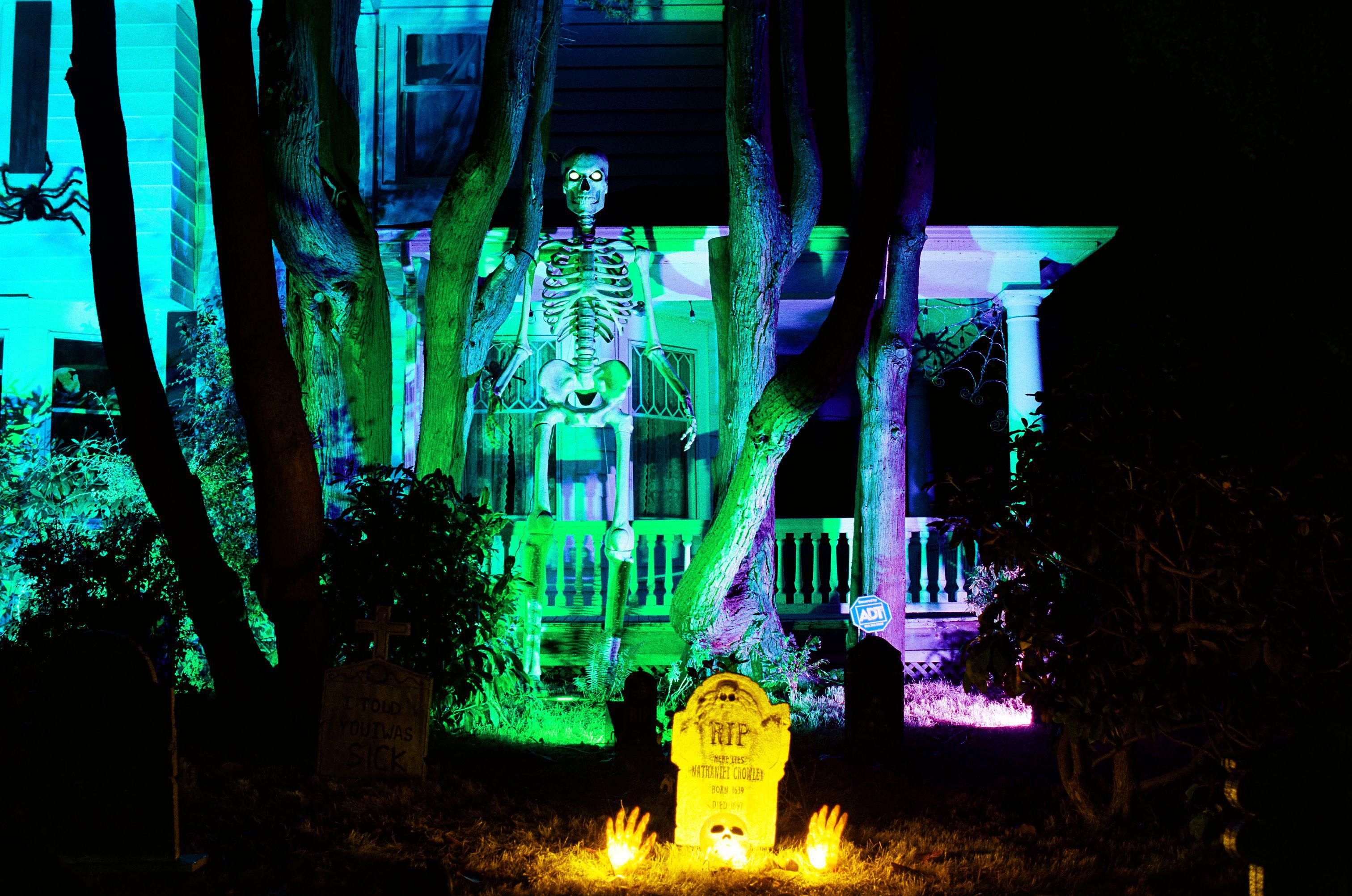 The Giant [Nikon FM, Nikkor 35mm f/2, Vision3 500T] | Scrolller